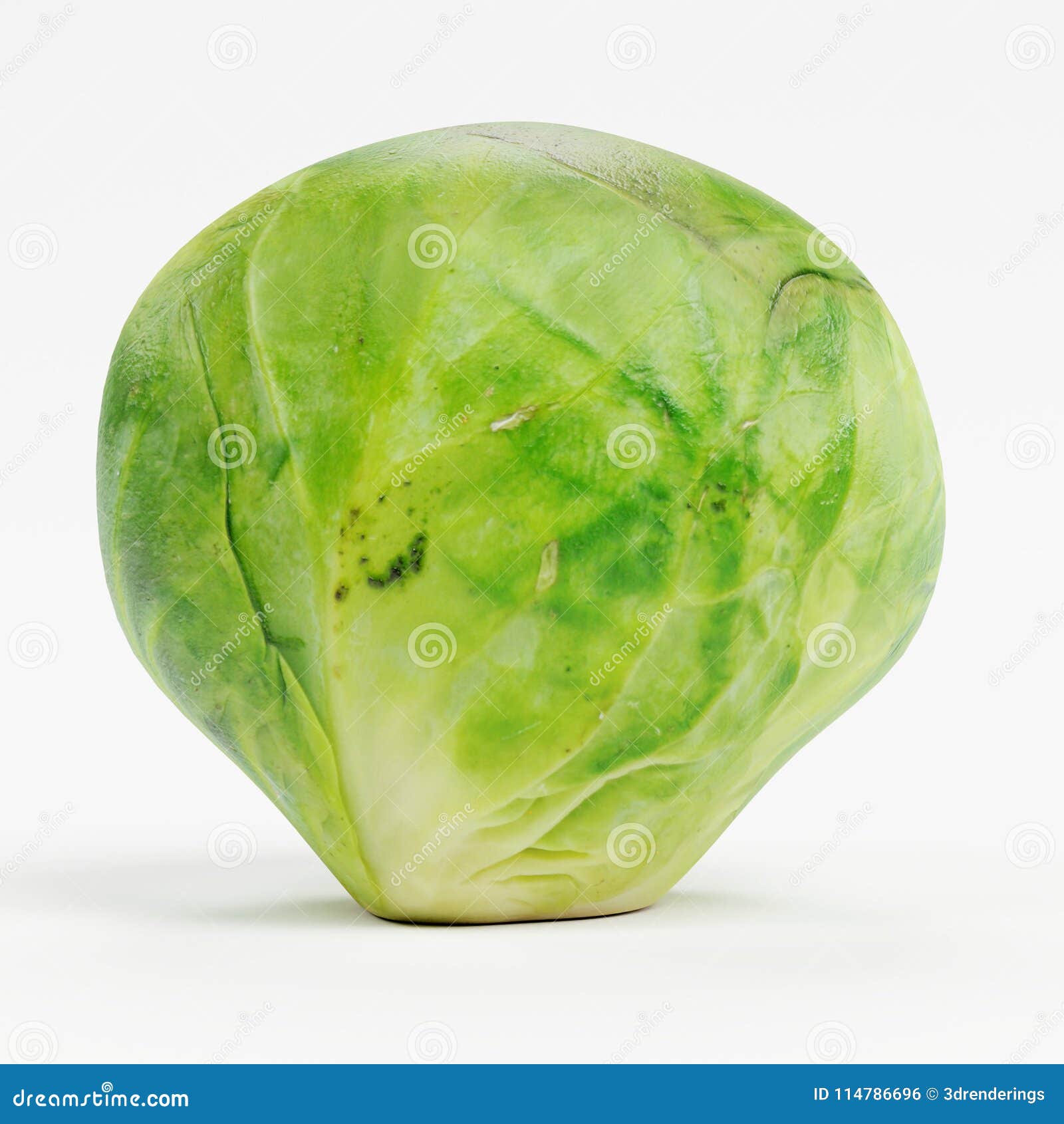 3D Render of Brussels Sprouts Stock Illustration - Illustration of ... 3D Render of Brussels Sprouts Stock Illustration - Illustration of ...