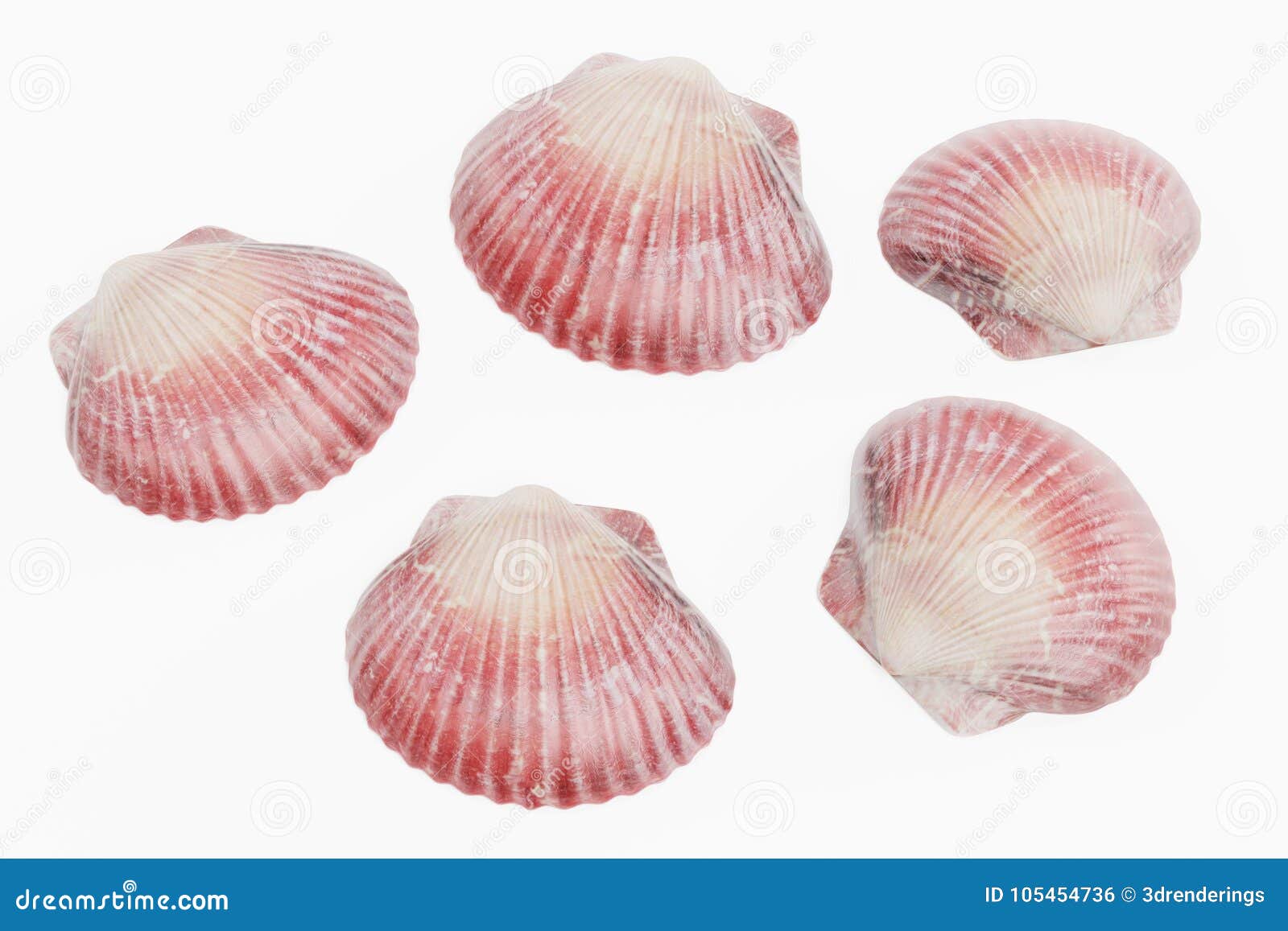 3D Render of Clams stock illustration. Illustration of mussel - 105454736