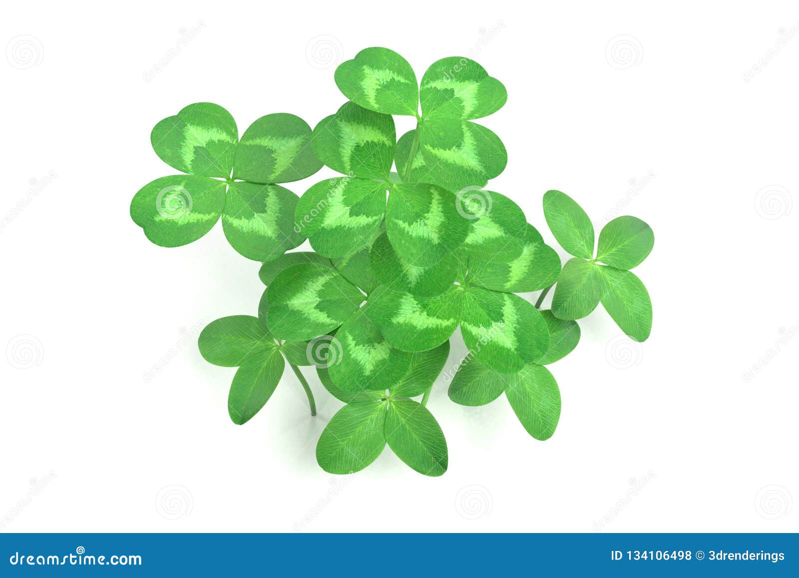 3D Render of Clover Plant stock illustration. Illustration of nature ...