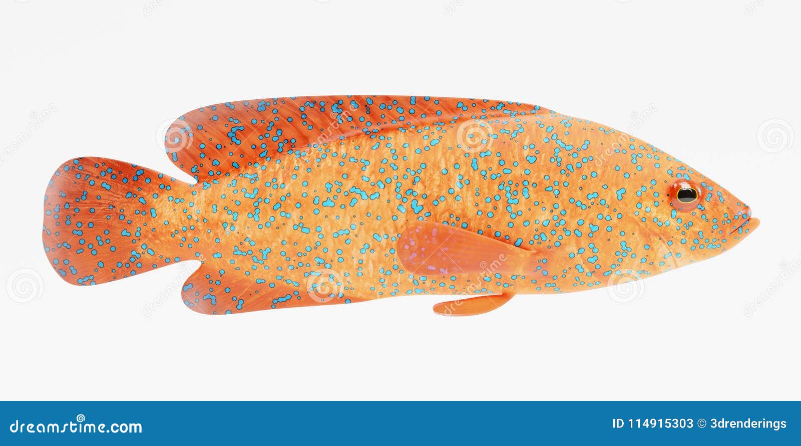 3d Render of Coral Grouper stock illustration. Illustration of marine ...