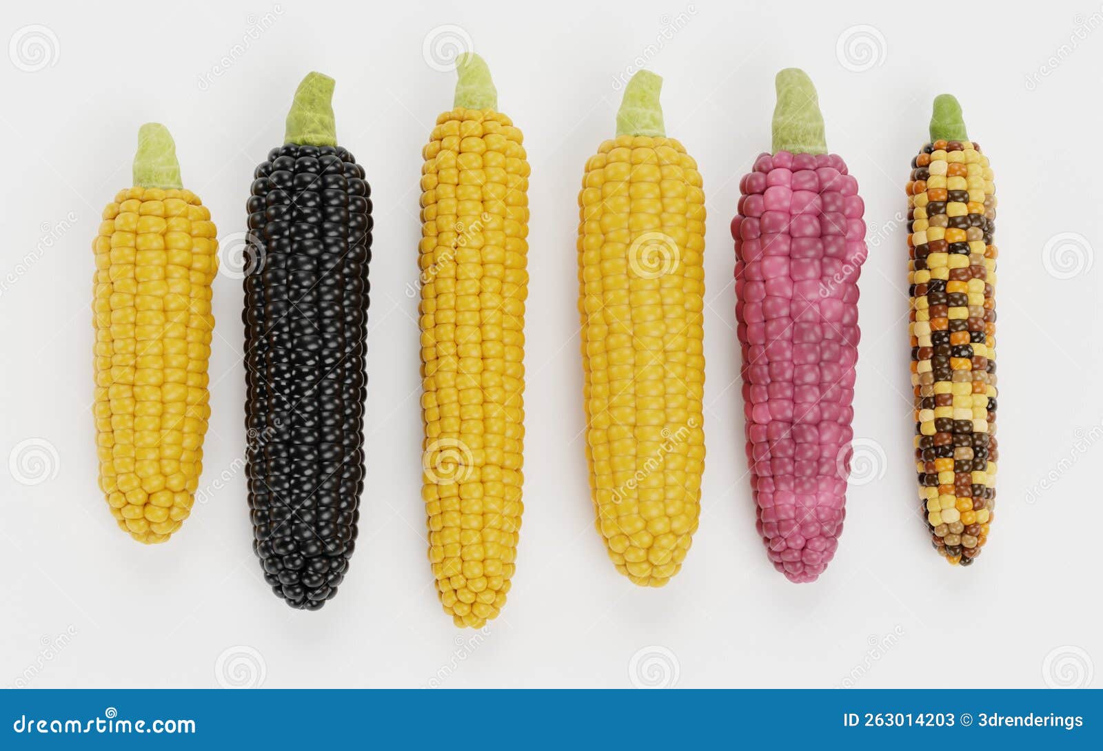 3D Render of Corns Collection Stock Illustration - Illustration of ...