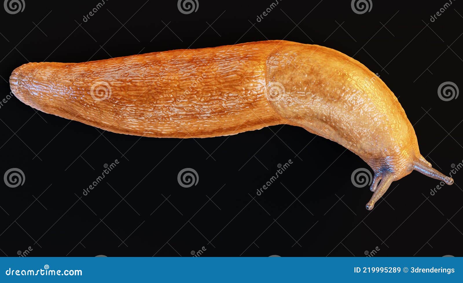 3D Render of Dusky Arion - Slug Stock Illustration - Illustration of ...