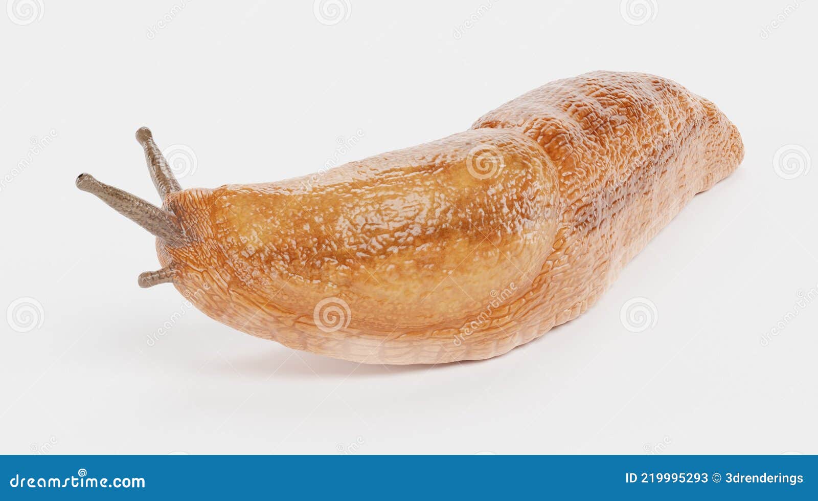 3D Render of Dusky Arion - Slug Stock Illustration - Illustration of ...