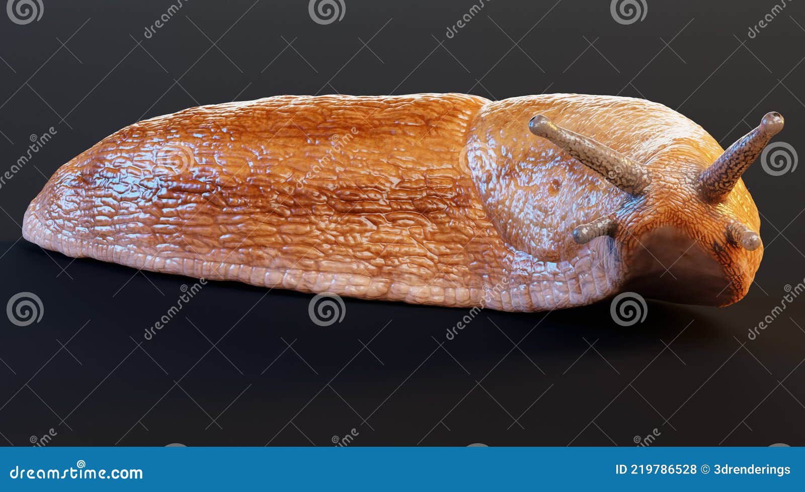 3D Render of Dusky Arion - Slug Stock Illustration - Illustration of ...