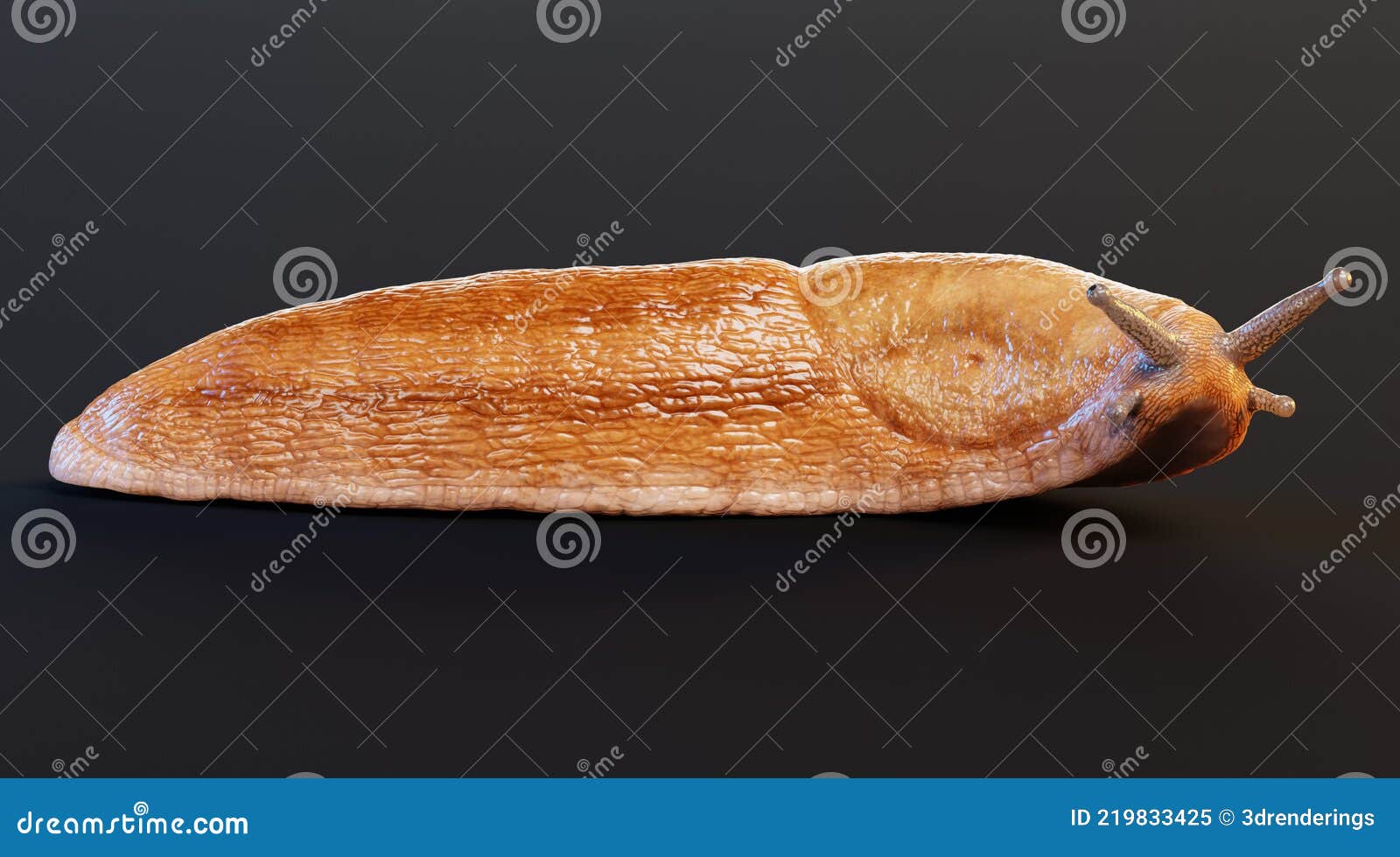 3D Render of Dusky Arion - Slug Stock Illustration - Illustration of ...