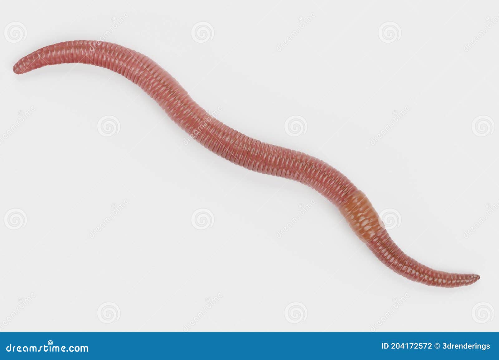 3D Render of Earthworm stock illustration. Illustration of creature ...