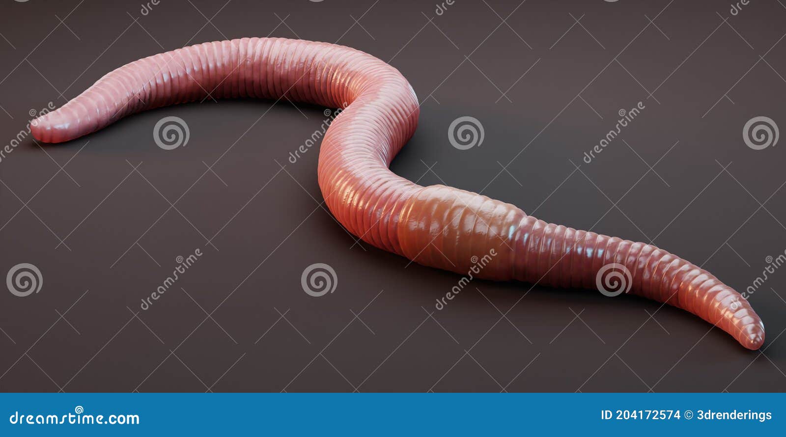 3D Render of Earthworm stock illustration. Illustration of insect ...