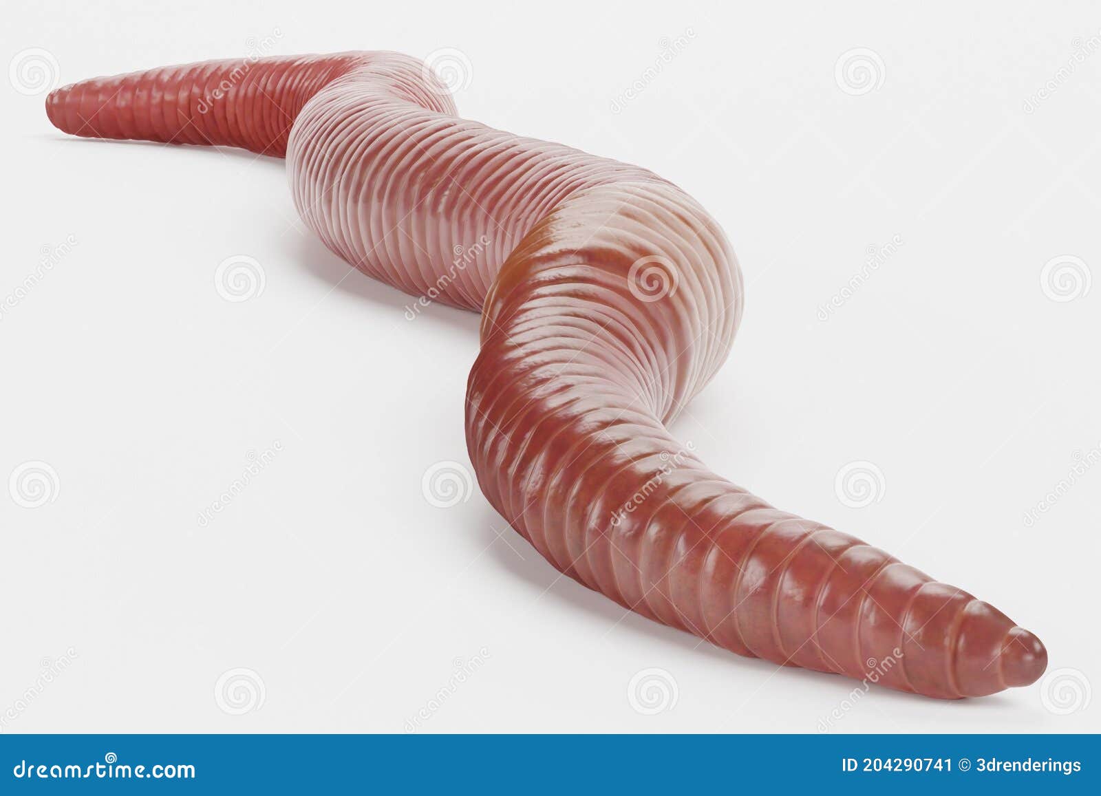 3D Render of Earthworm stock illustration. Illustration of render ...
