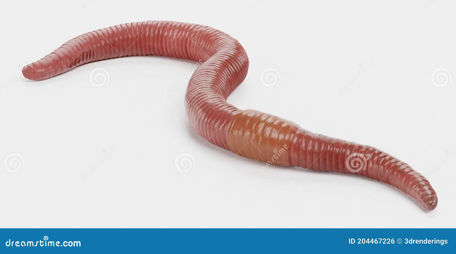 3D Render of Earthworm stock illustration. Illustration of nature ...