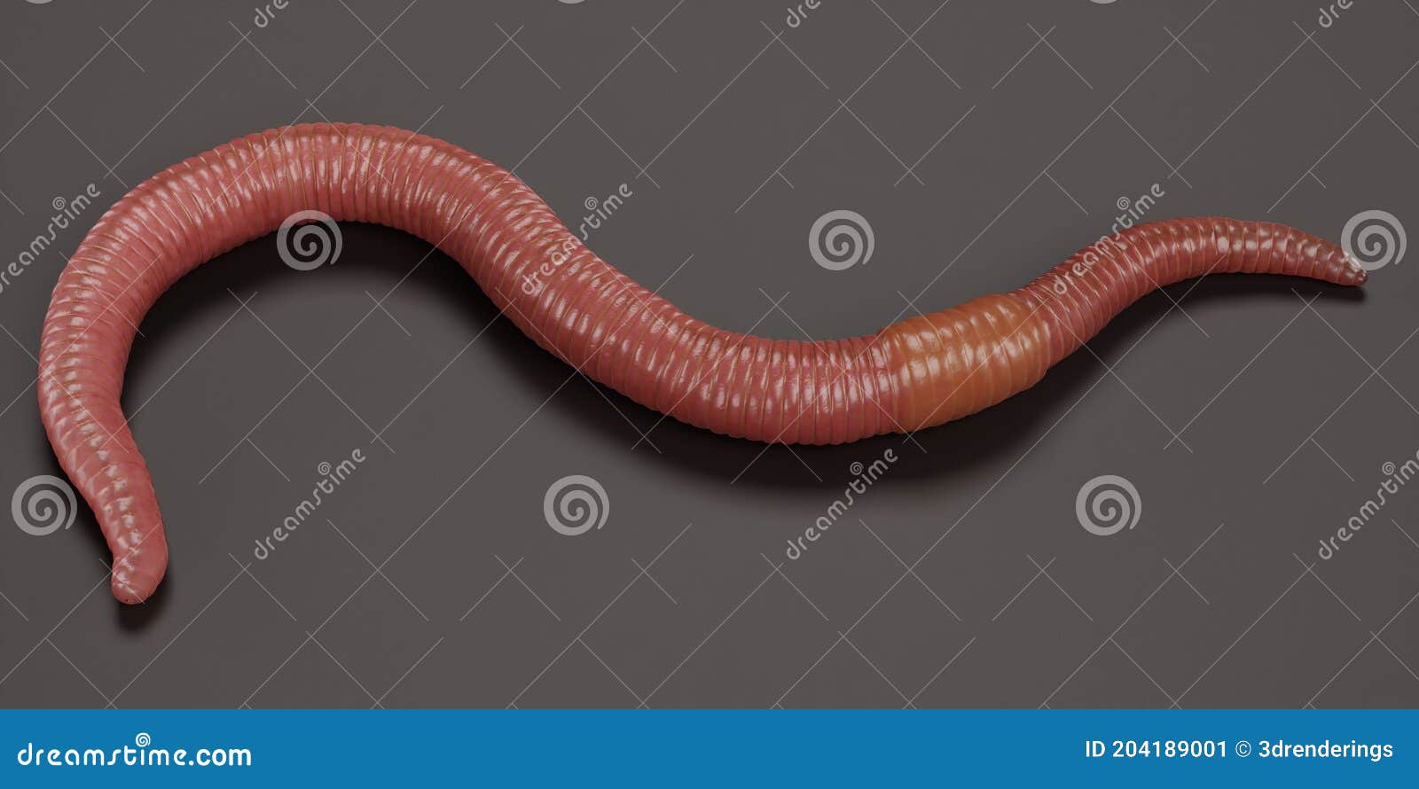 3D Render of Earthworm stock illustration. Illustration of earthworm ...