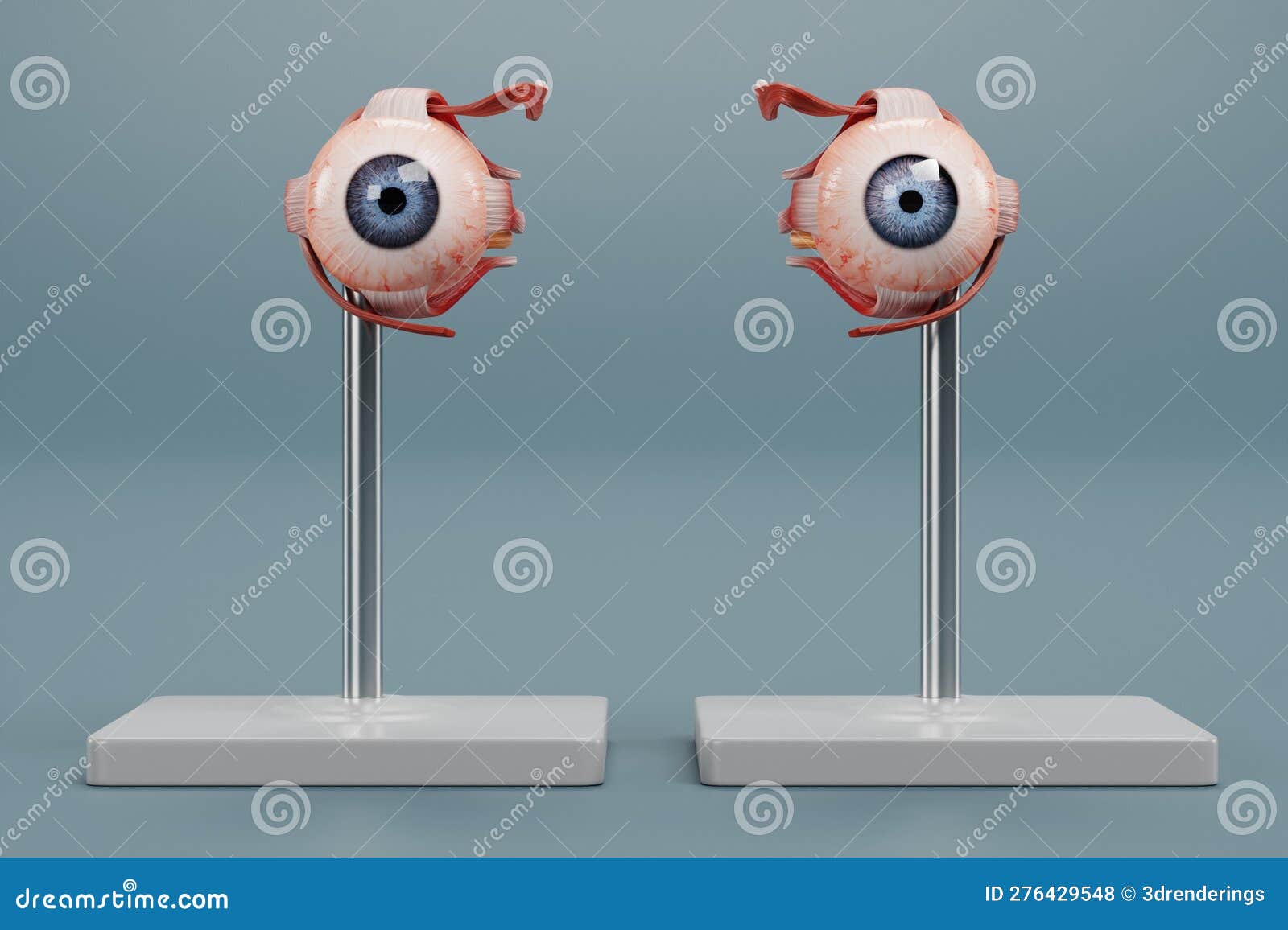 3D Render of Eye Anatomy Model Stock Illustration - Illustration of ...