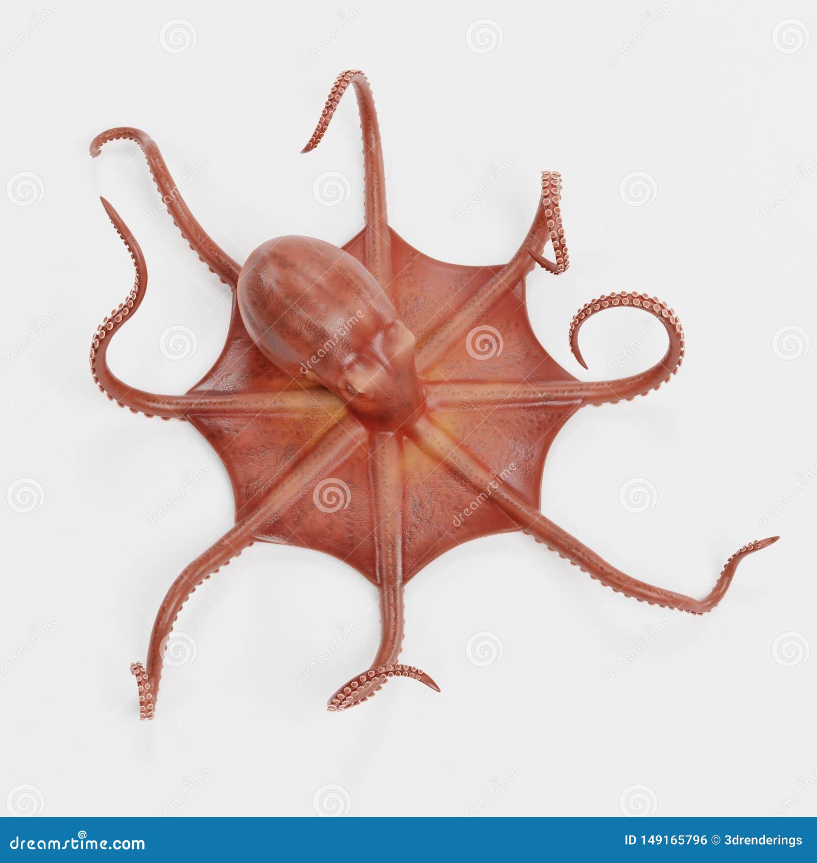 3D Render of Giant Pacific Octopus Stock Illustration - Illustration of ...