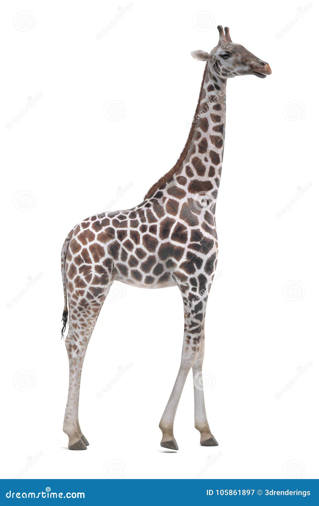 Rothschild Cartoons, Illustrations & Vector Stock Images - 198 Pictures ...