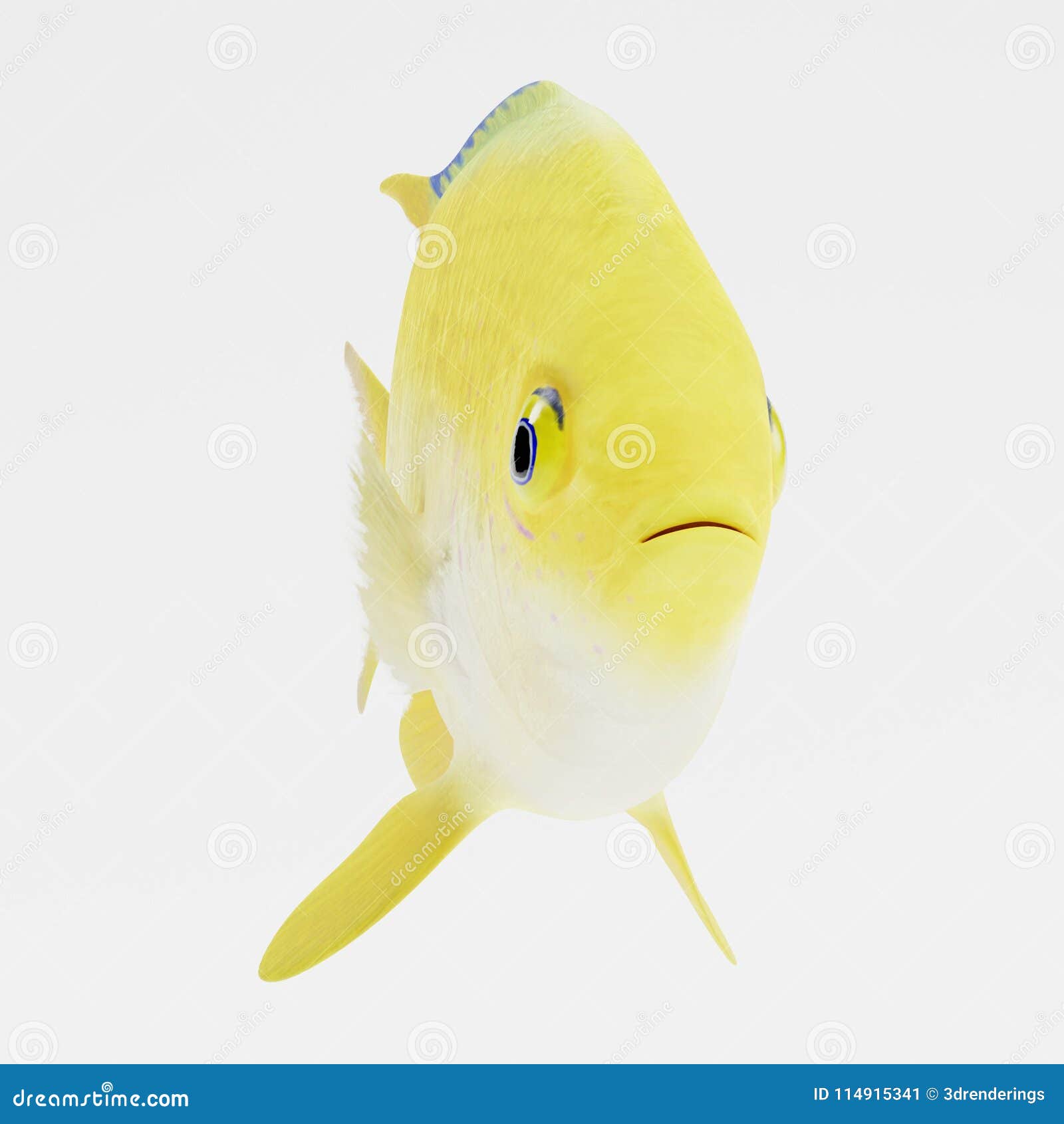 3d Render of Golden Damsel Fish Stock Illustration - Illustration of ...