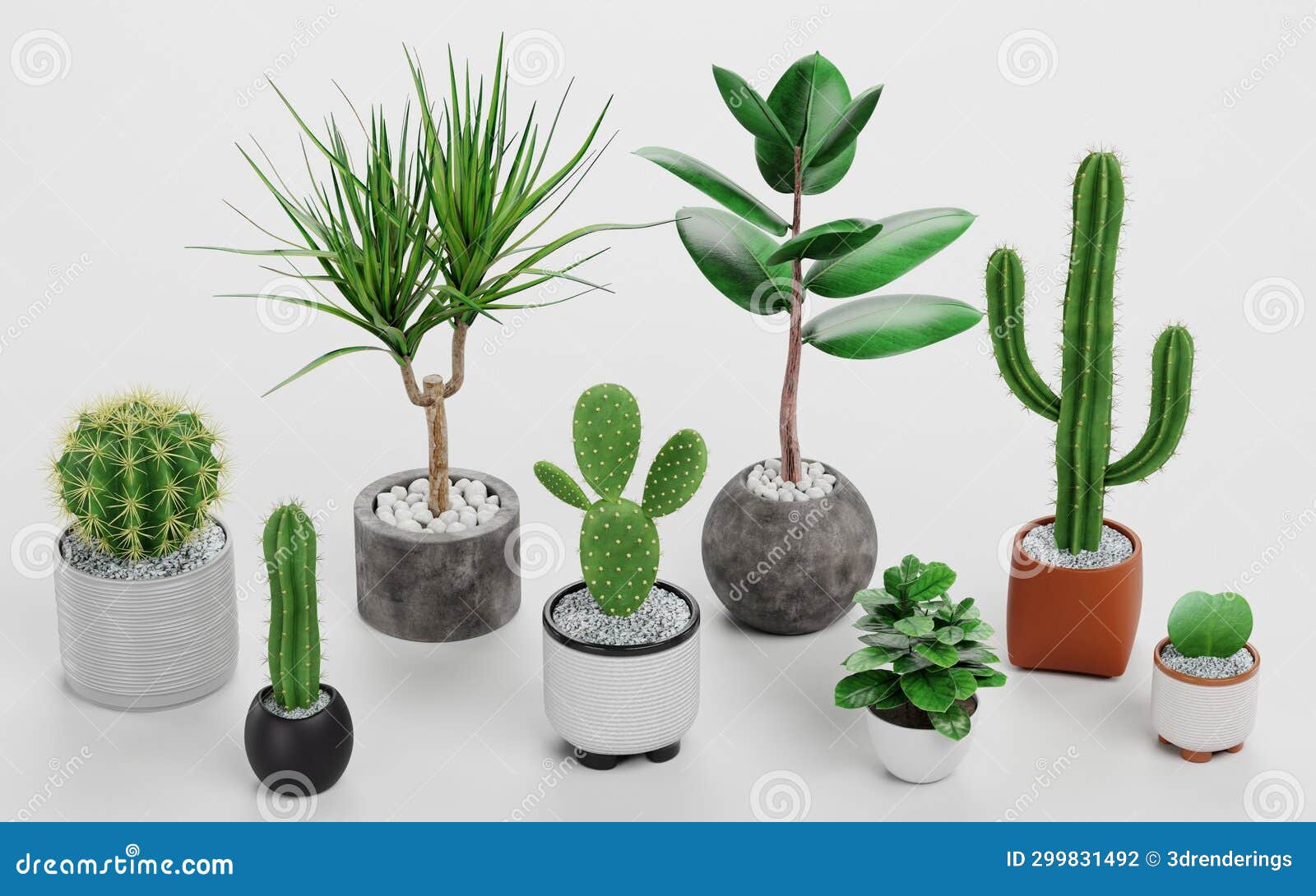 3D Render of Home Plants stock illustration. Illustration of succulent ...