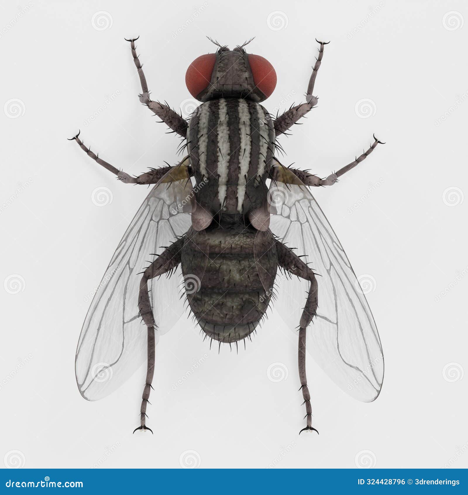 3D Render of House Fly stock illustration. Illustration of realistic ...