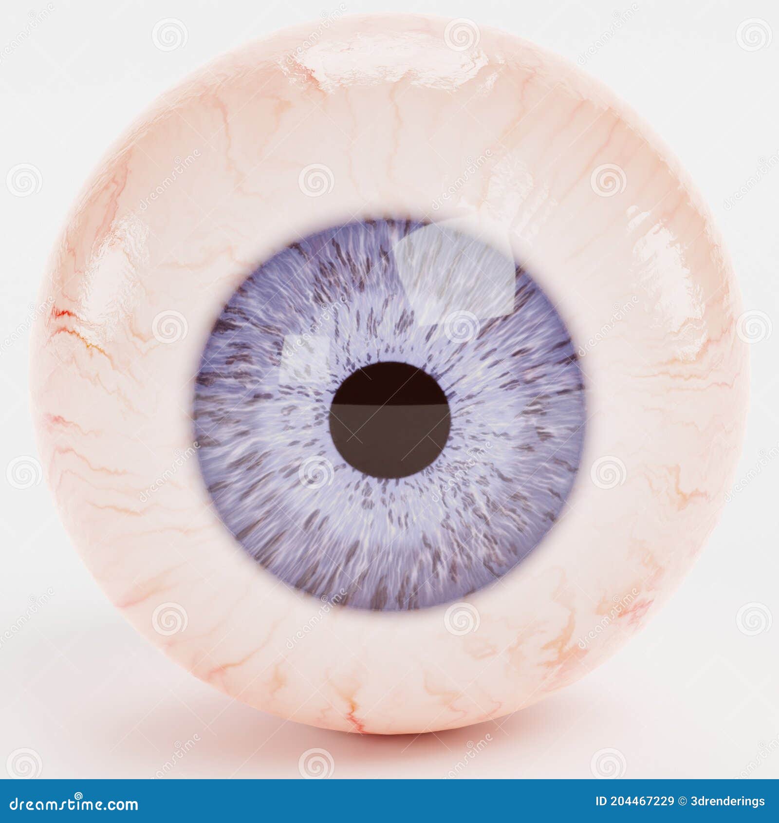 3D Render of Human Eye stock illustration. Illustration of lens - 204467229
