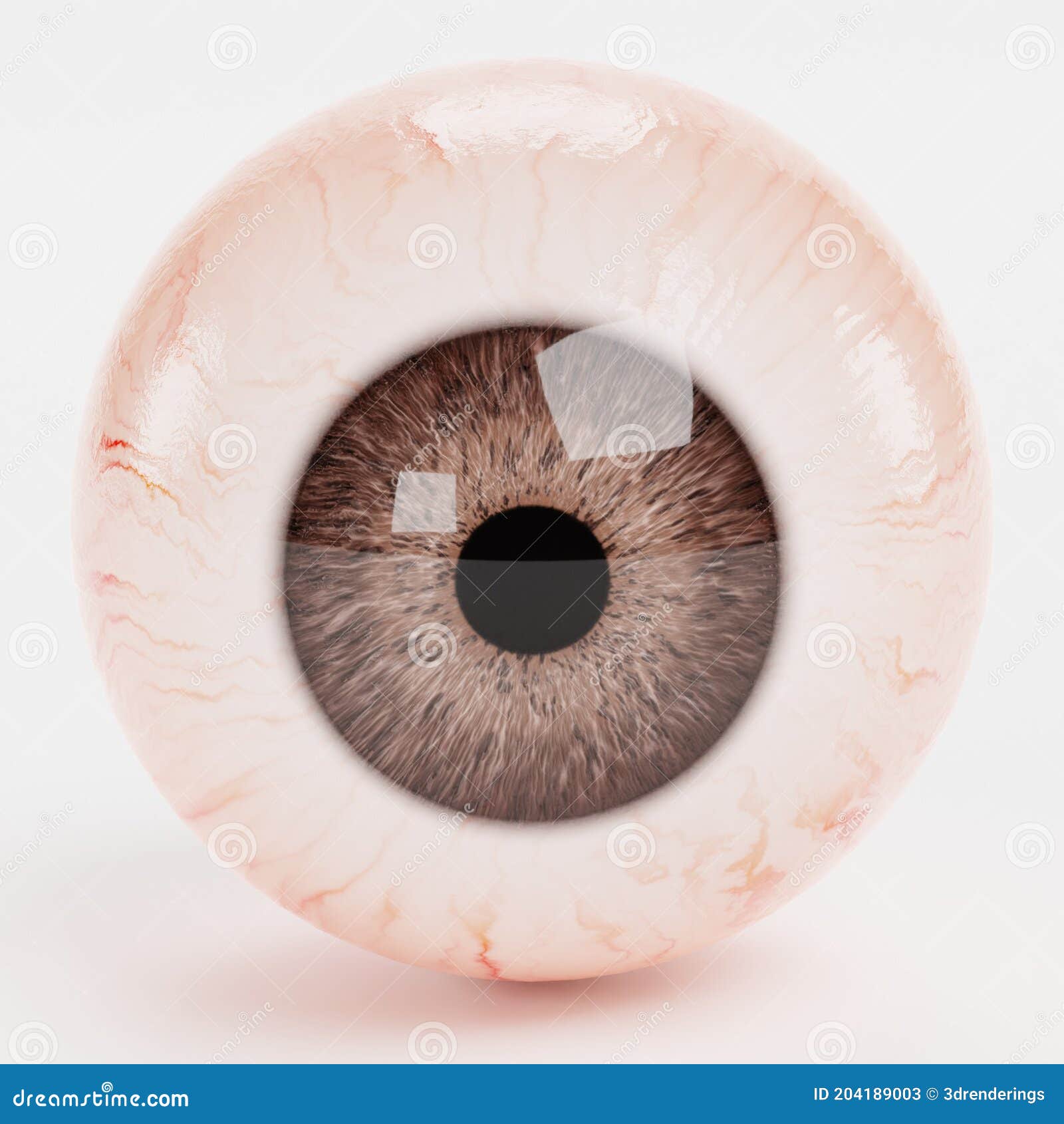 3D Render of Human Eye stock illustration. Illustration of head - 204189003