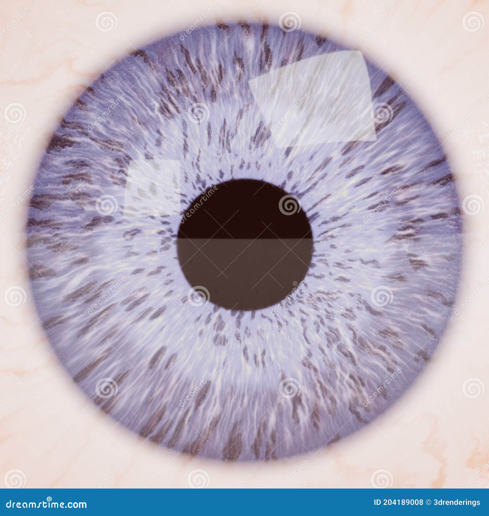 3D Render of Human Eye stock illustration. Illustration of blue - 204189008