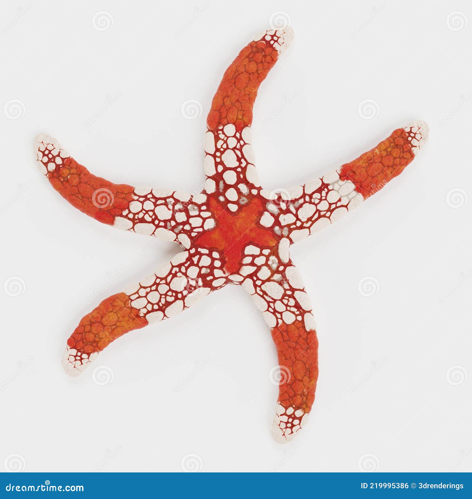 3D Render Of Bat Starfish Stock Photography | CartoonDealer.com #219754376