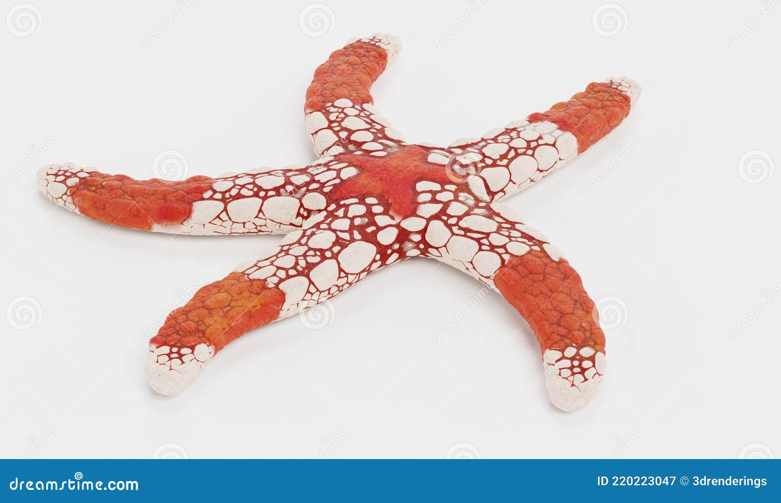 3D Render Of Bat Starfish Stock Photography | CartoonDealer.com #219754376