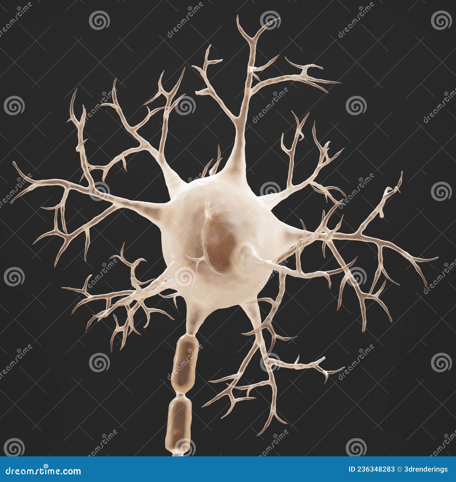 3D Render Of Neuron Royalty-Free Stock Photo | CartoonDealer.com #236443575