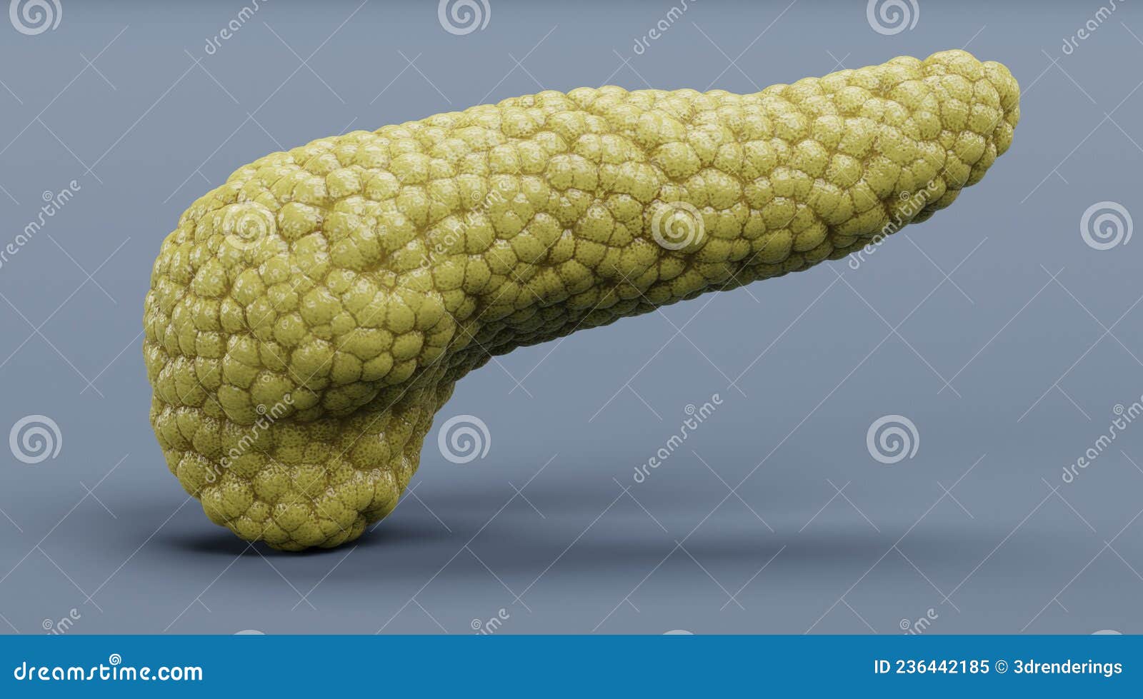 3D Render of Pancreas stock illustration. Illustration of structure ...