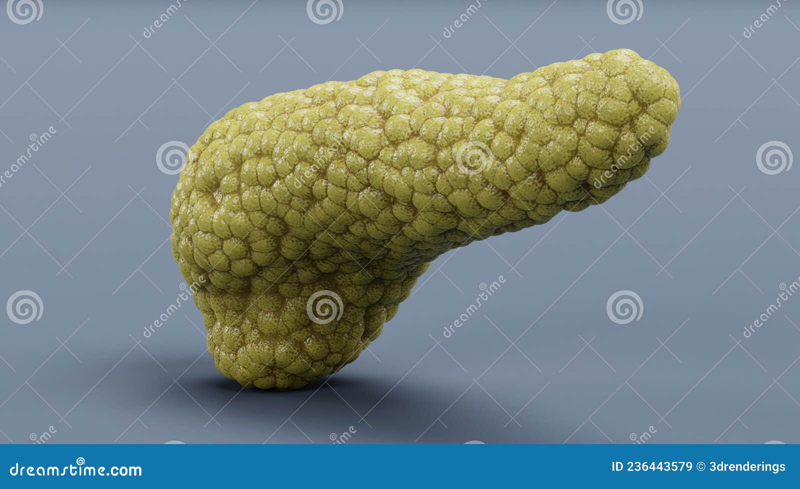 3D Render of Pancreas stock illustration. Illustration of medical ...