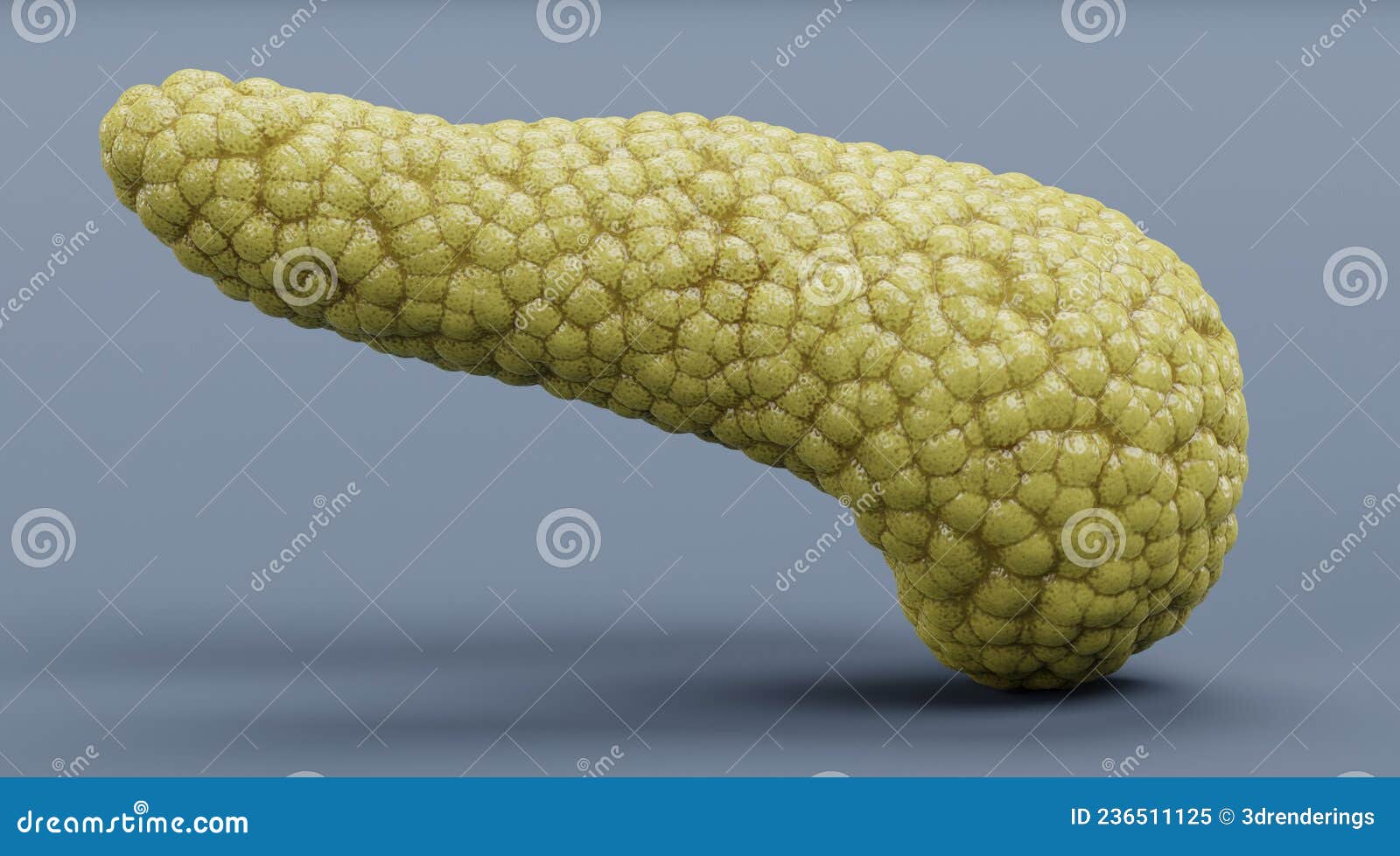 3D Render of Pancreas stock illustration. Illustration of realistic ...
