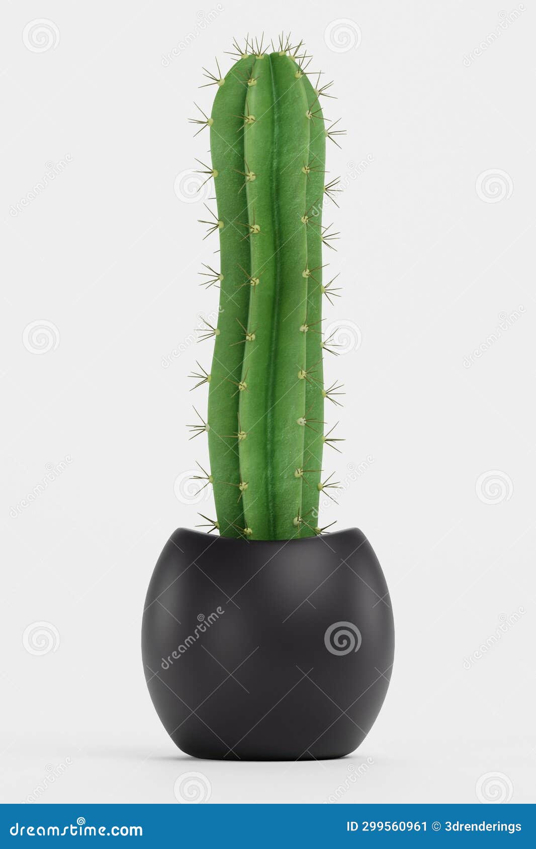 3D Render of San Pedro Cactus Stock Illustration - Illustration of ...