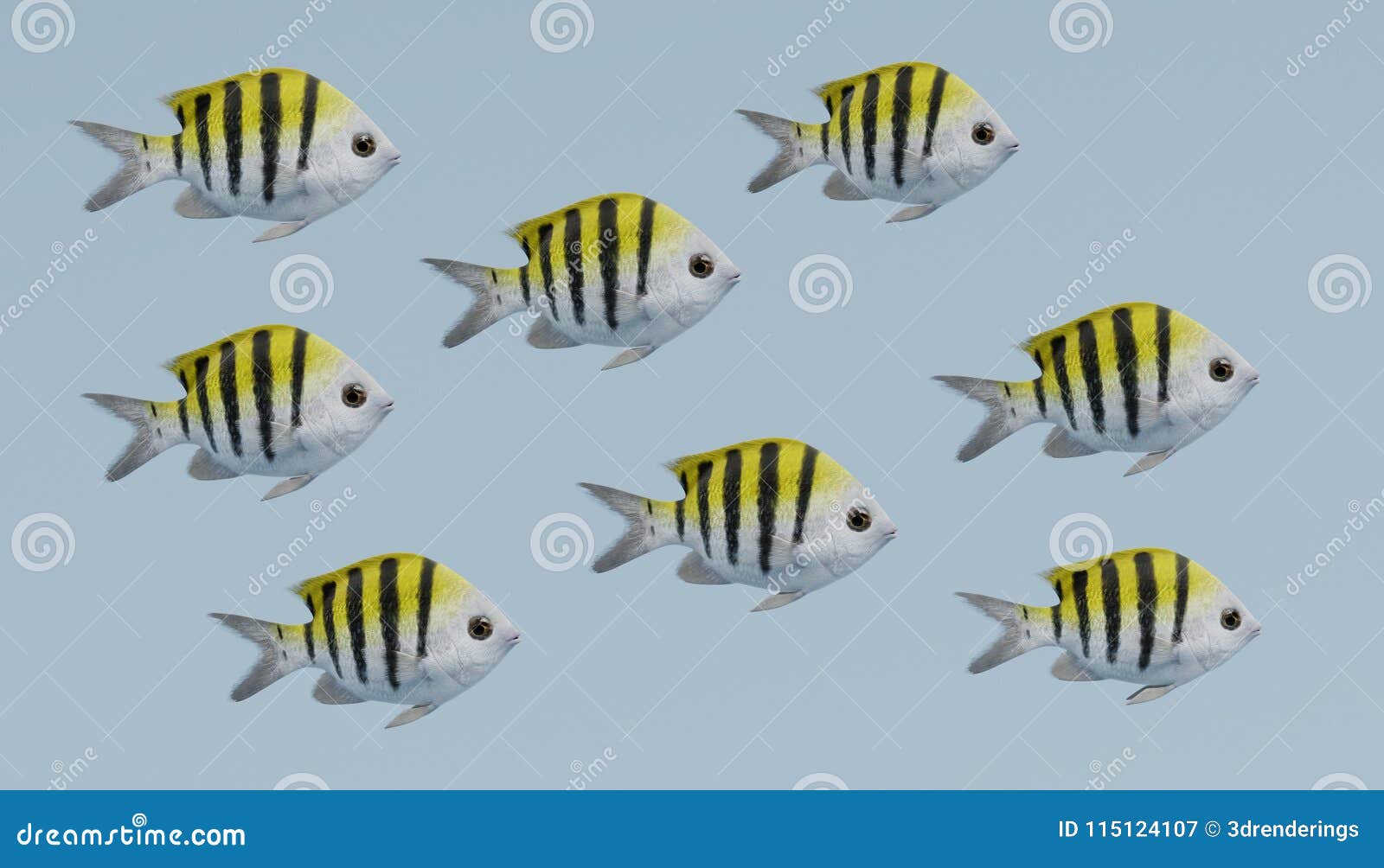Sergeant Major Fish Abudefduf Saxatilis Made With Generative AI ...