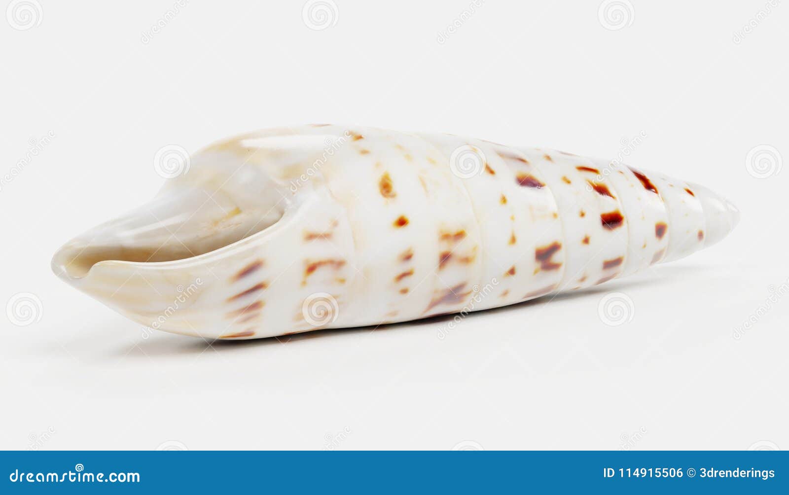 3D Render of Shell stock illustration. Illustration of fish - 114915506