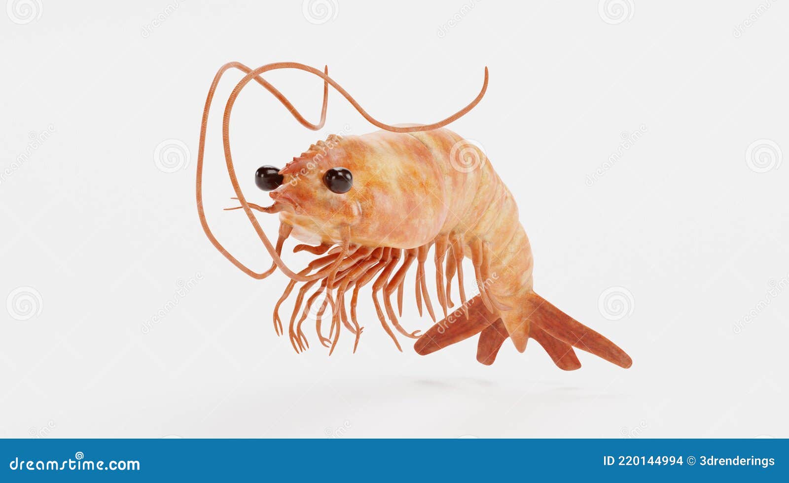3D Render of Shrimp stock illustration. Illustration of shell - 220144994