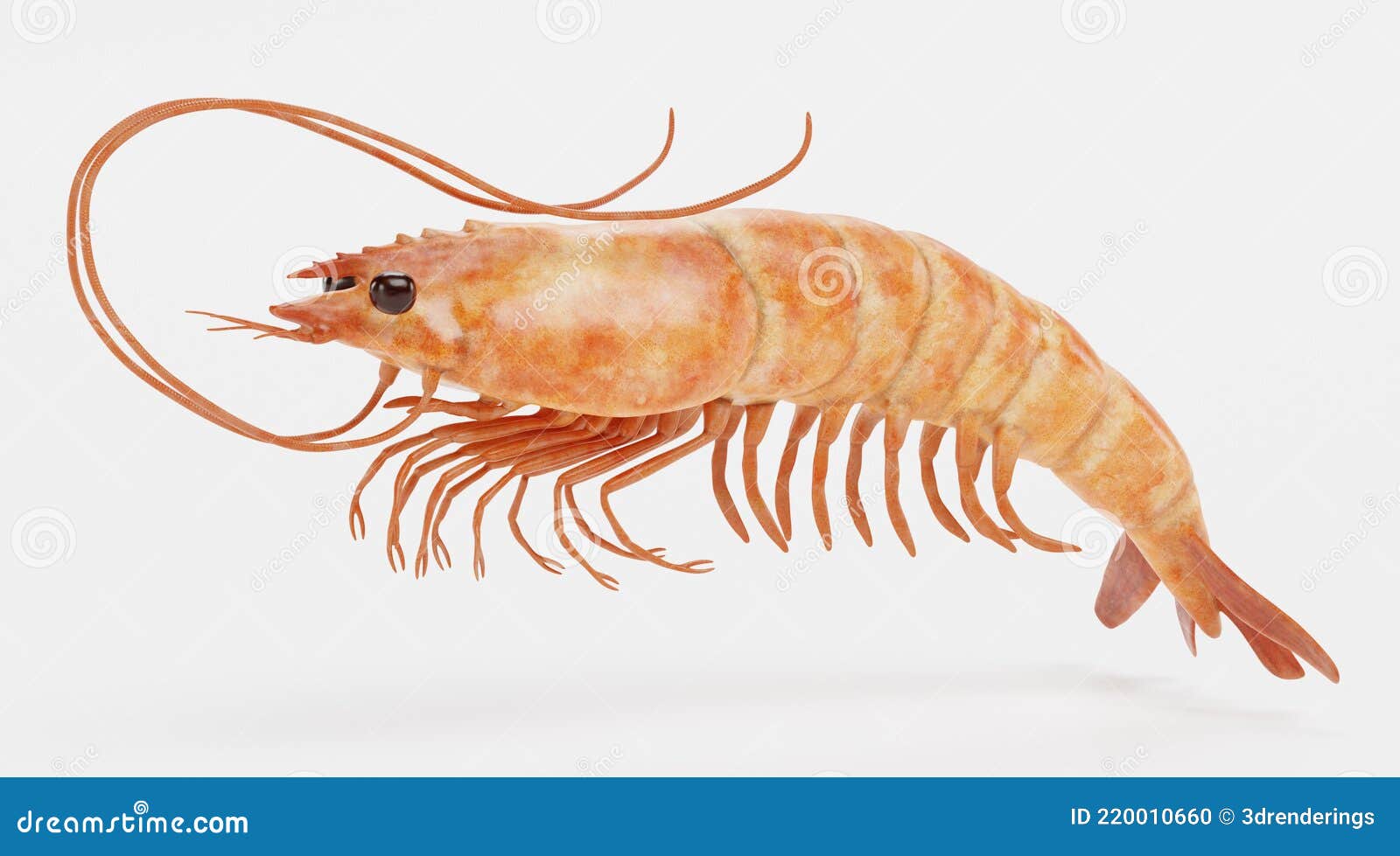 3D Render of Shrimp stock illustration. Illustration of water - 220010660