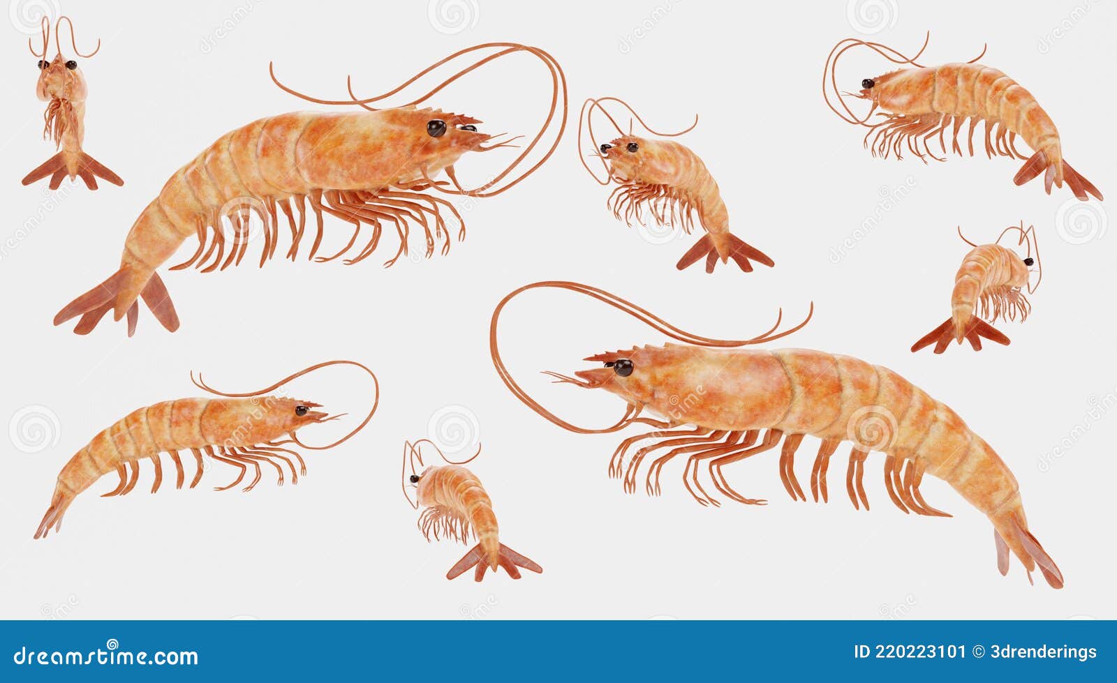3D Render of Shrimps stock illustration. Illustration of prawn - 220223101