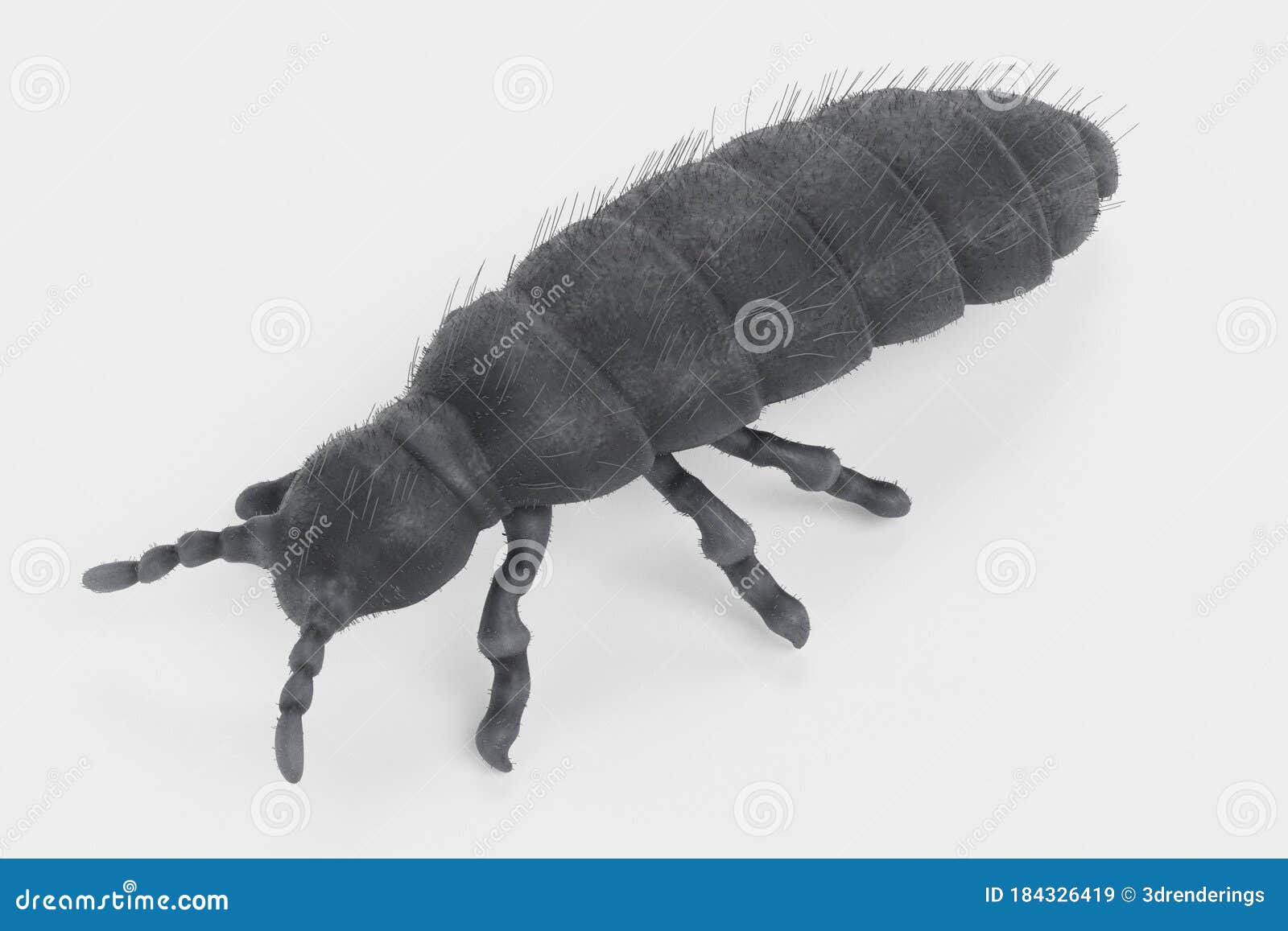 Collembola Cartoons, Illustrations & Vector Stock Images - 19 Pictures ...