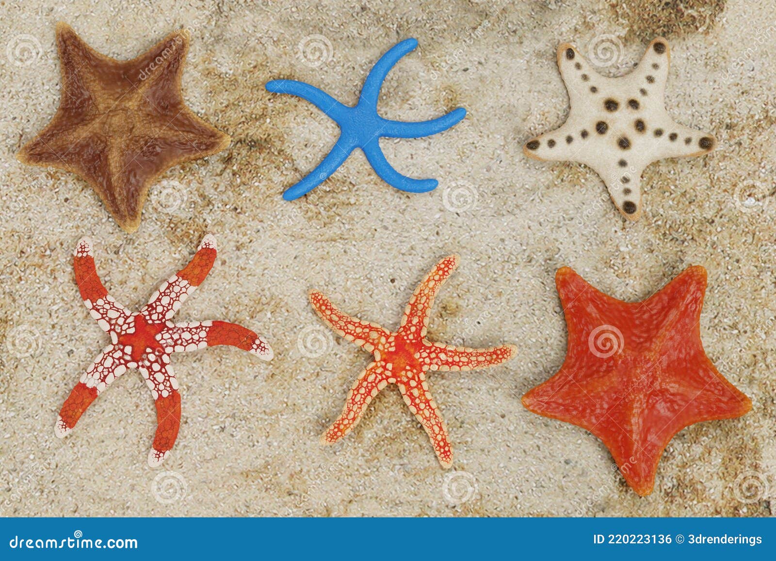 3D Render Of Bat Starfish Stock Photography | CartoonDealer.com #219754376