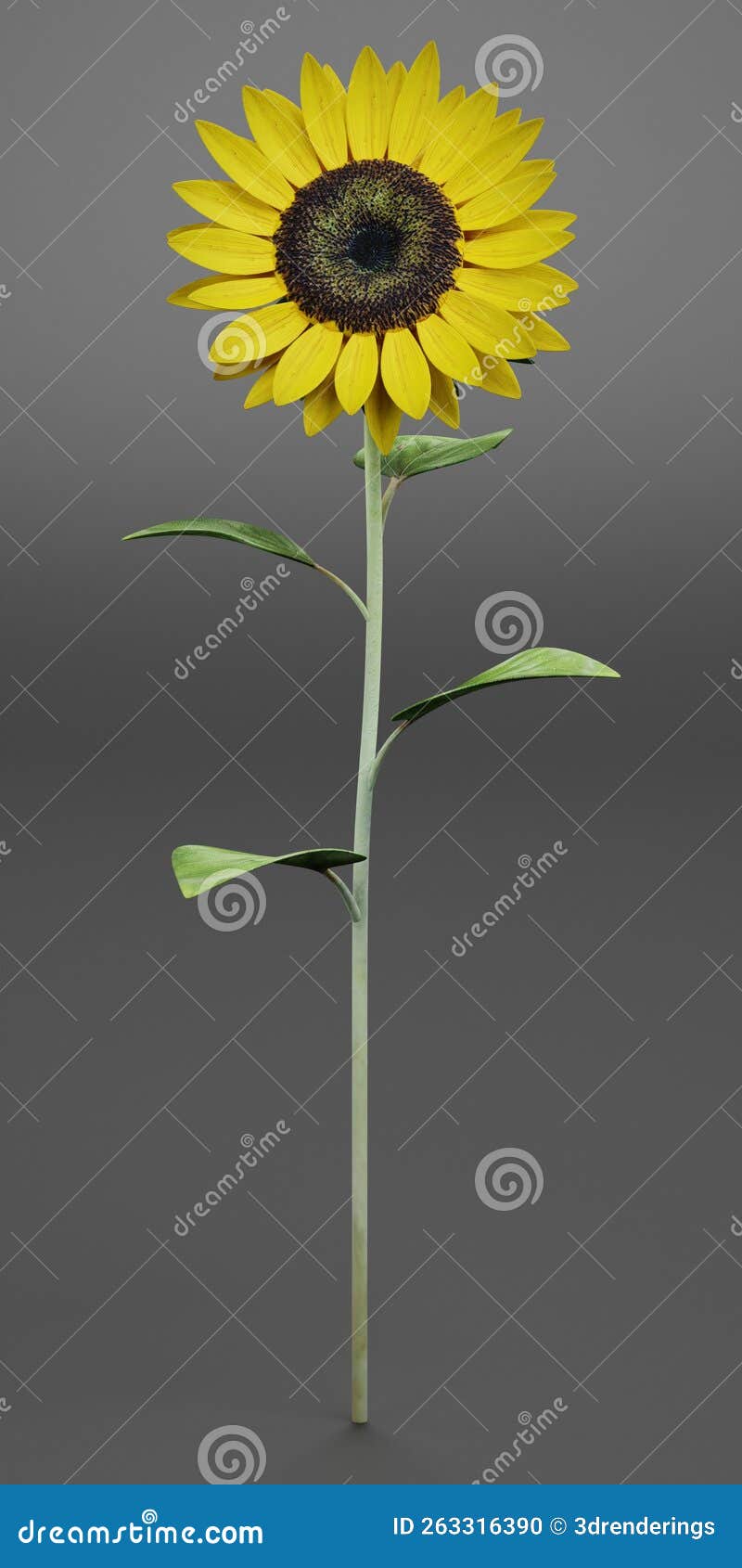 3D Render of Sunflower stock illustration. Illustration of seed - 263316390