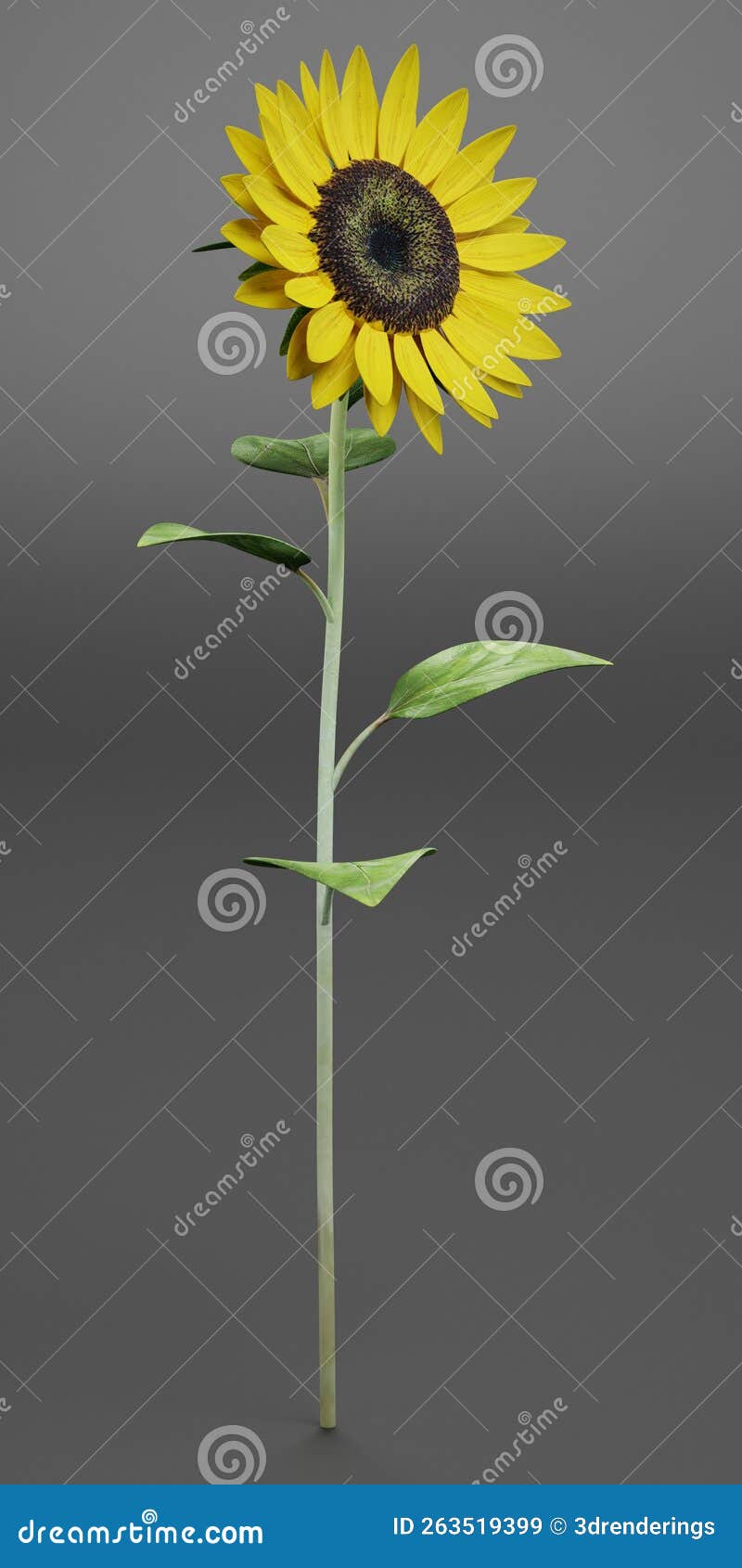 3D Render of Sunflower stock illustration. Illustration of crop - 263519399