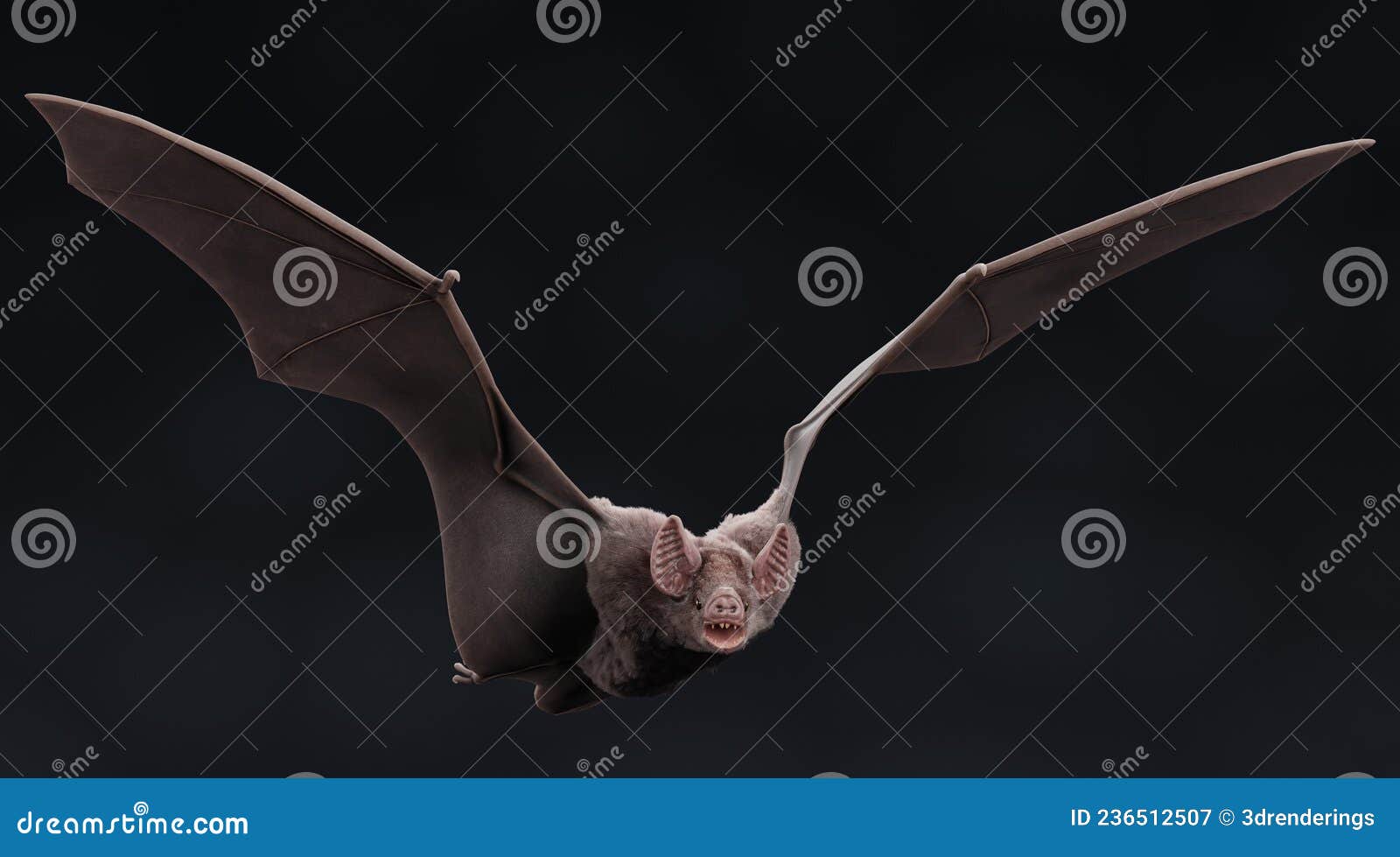 Common Vampire Bat, Desmodus Rotundus Hanging At A Branch And Spreading ...