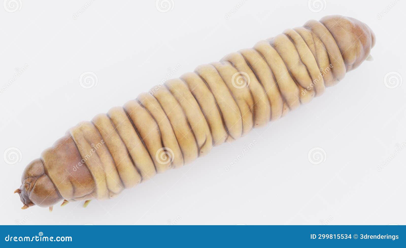 3D Render of Wax Worm stock illustration. Illustration of digestion ...