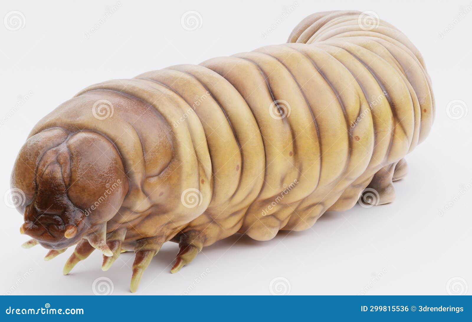 3D Render of Wax Worm stock illustration. Illustration of dissolve ...