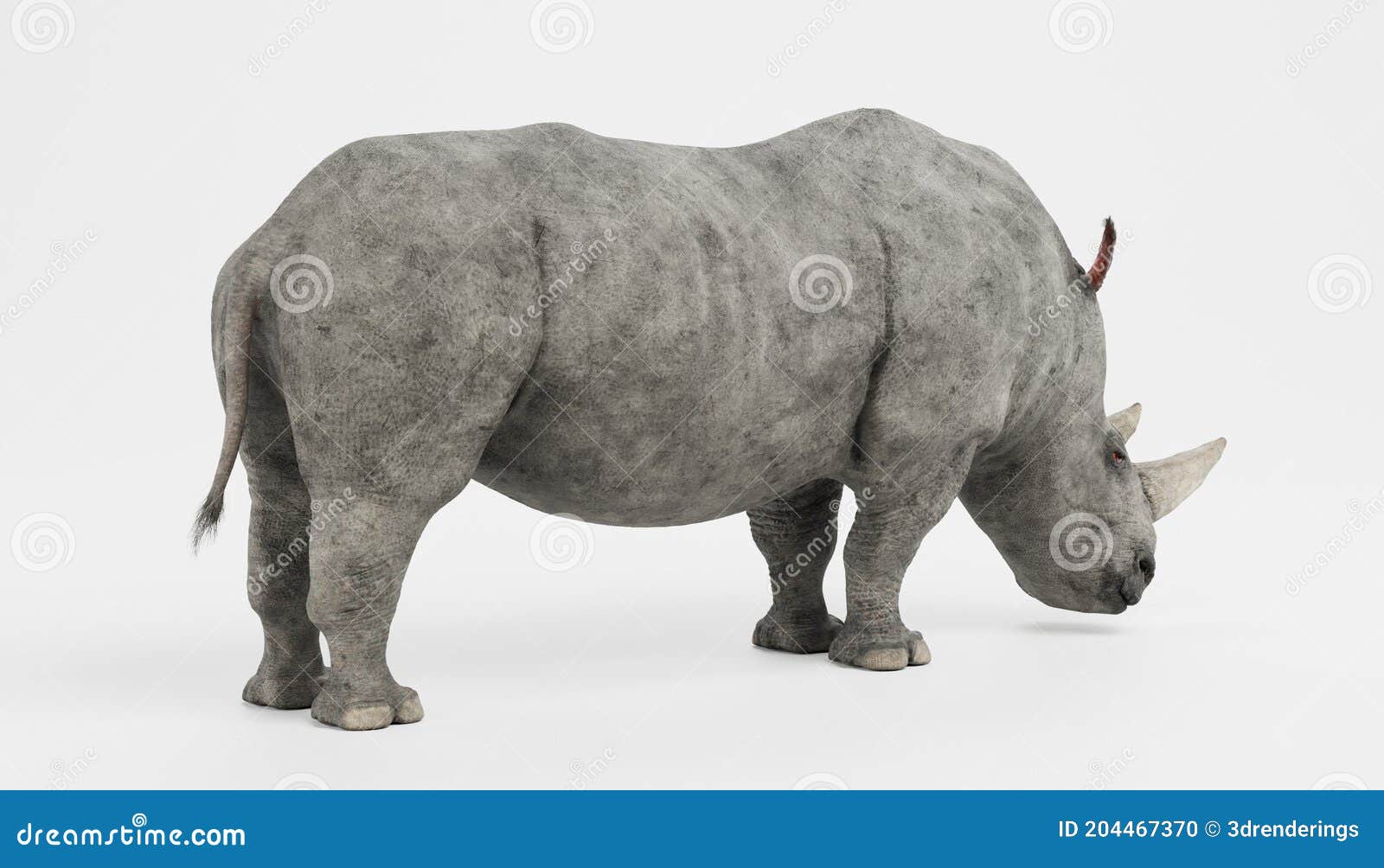 3D Render of White Rhinoceros Stock Illustration - Illustration of horn ...