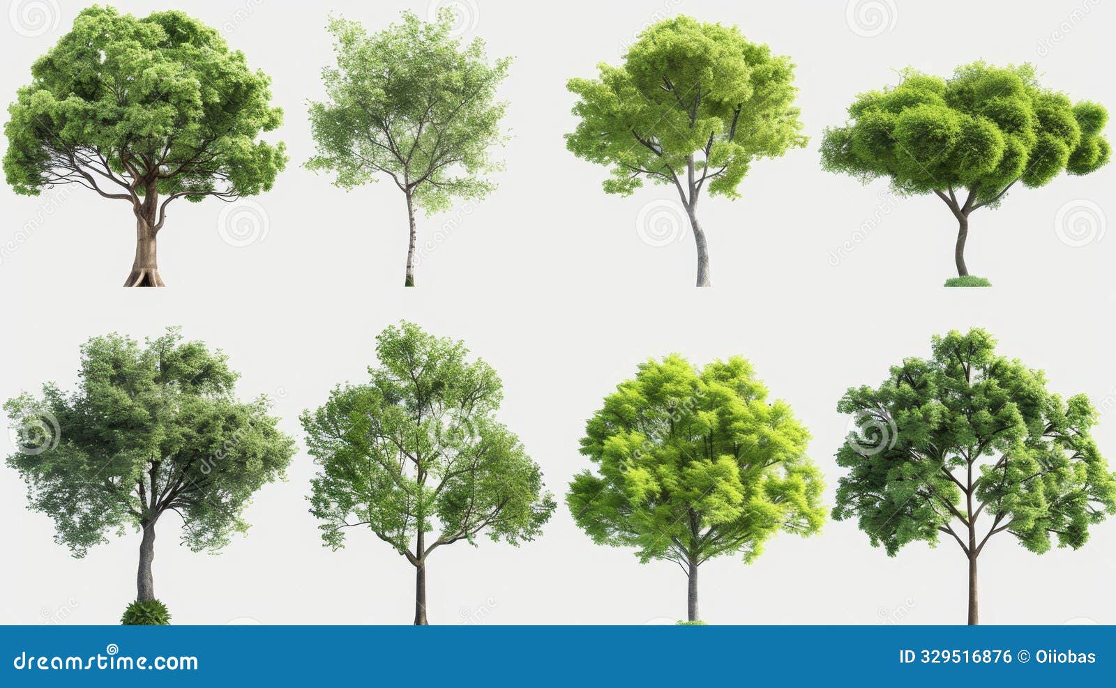 Realistic 3D Rendered Environmental Tree Growth Shapes on Transparent ...