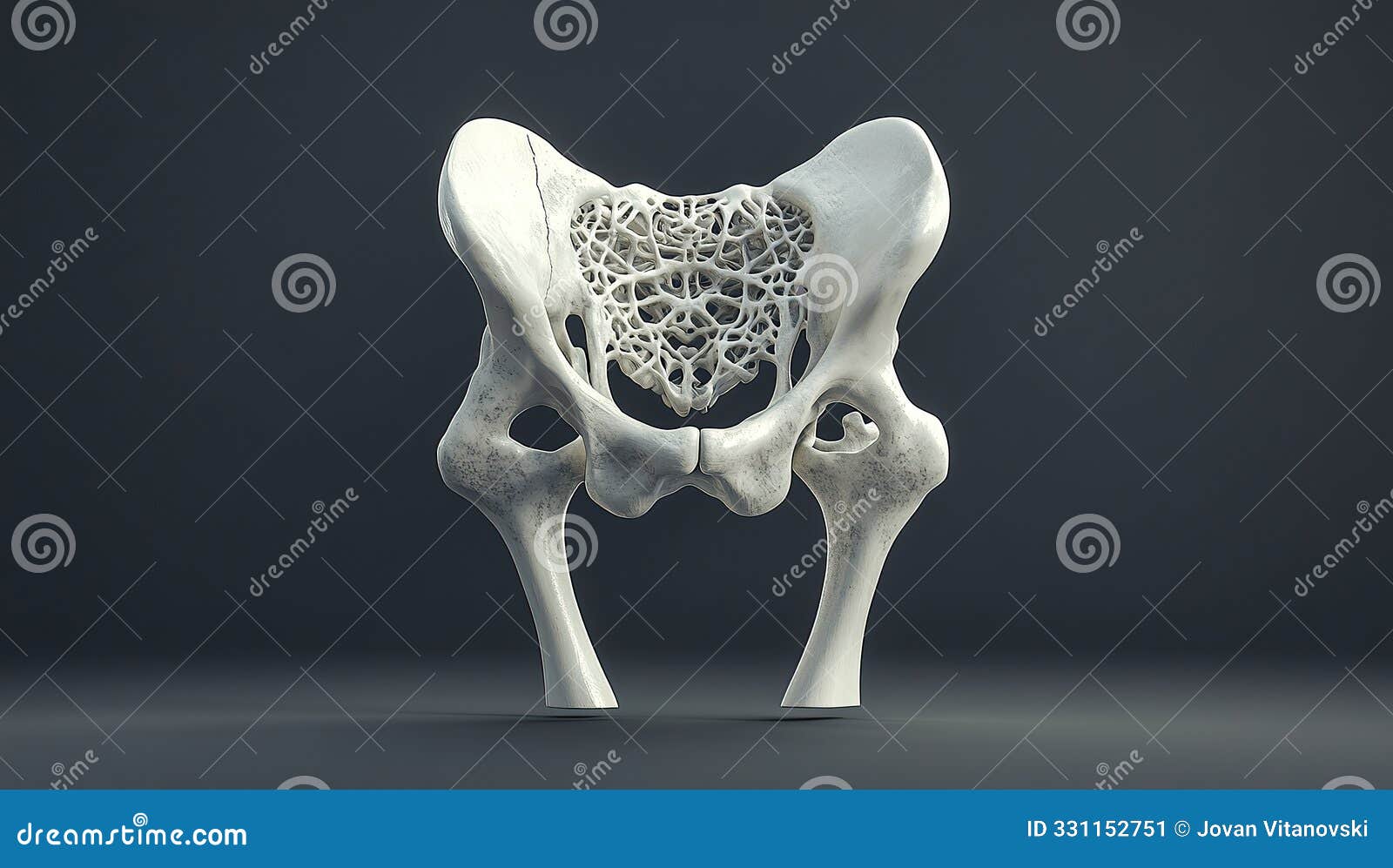 3D Rendered Illustration of a Detailed Human Hip Joint Structure Stock ...