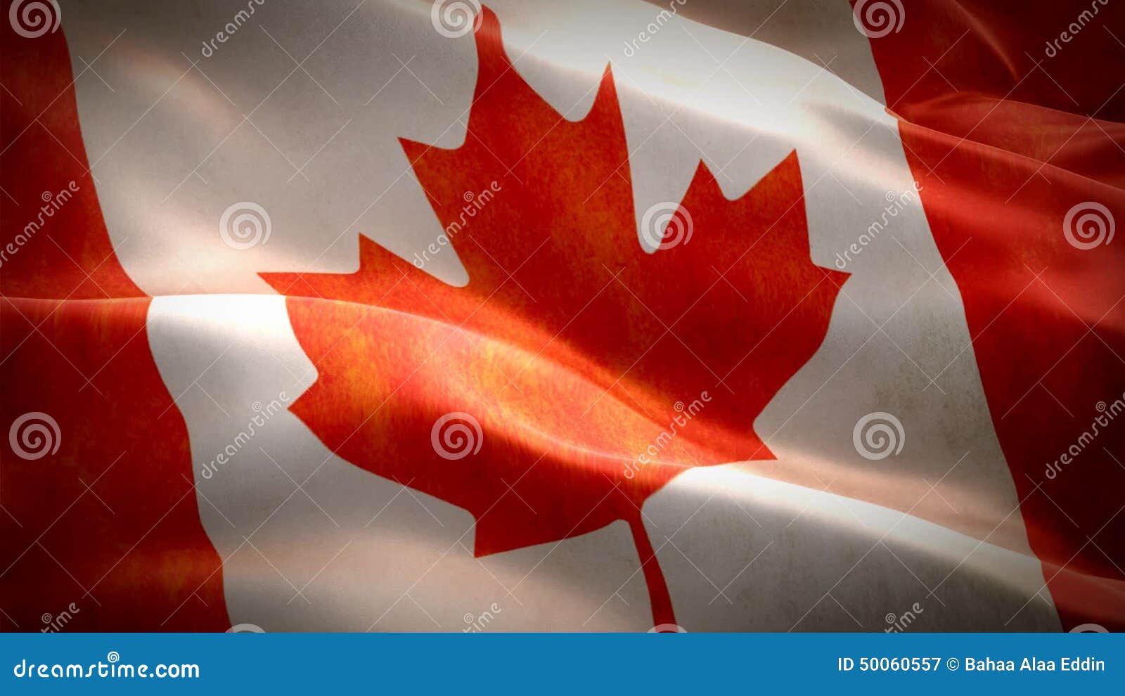 Realistic 3d Seamless Looping Canada Flag Waving in the Wind. Stock ...