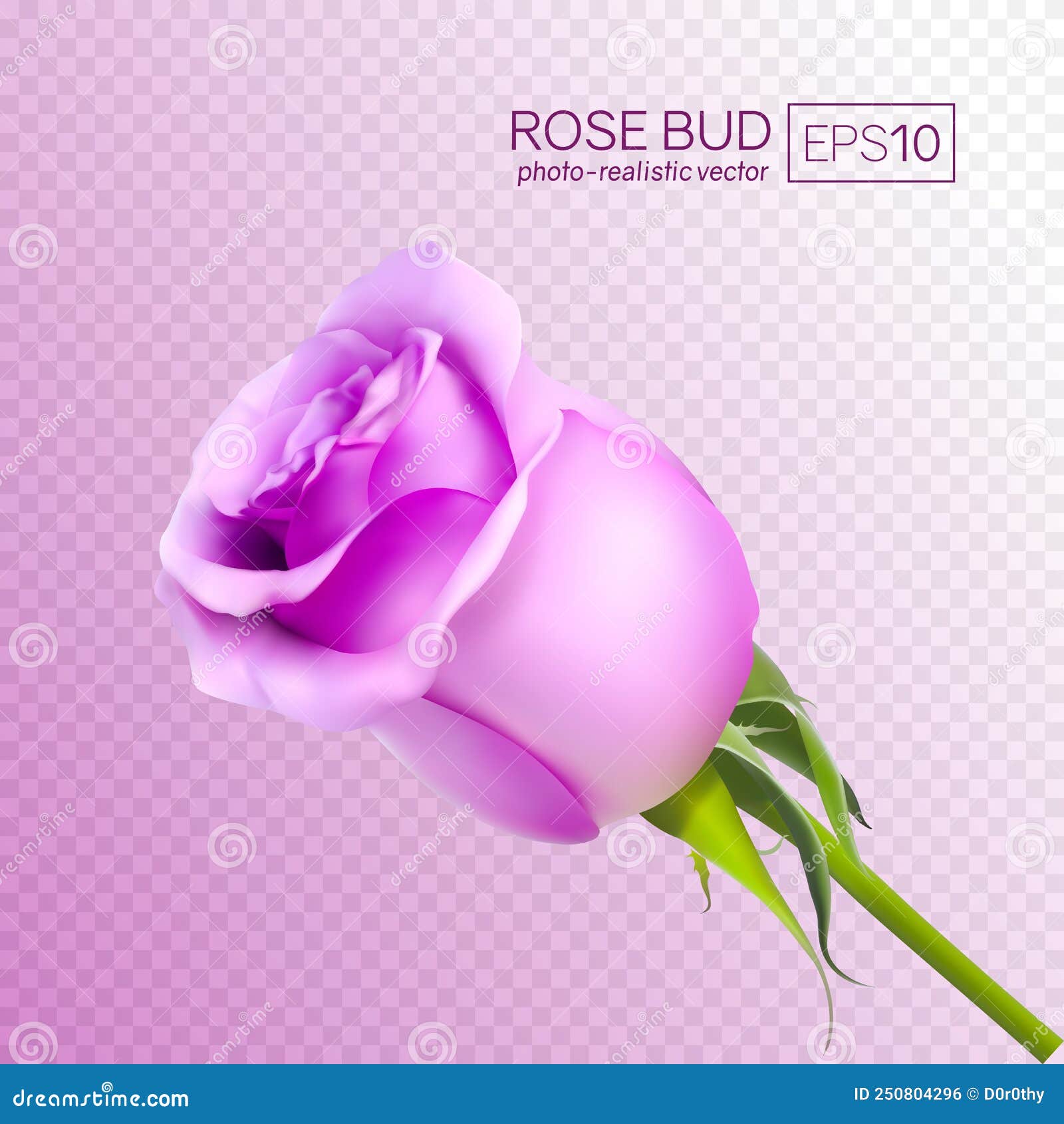 Realistic 3d Vector Rose on Transparent Background. Stock Vector ...