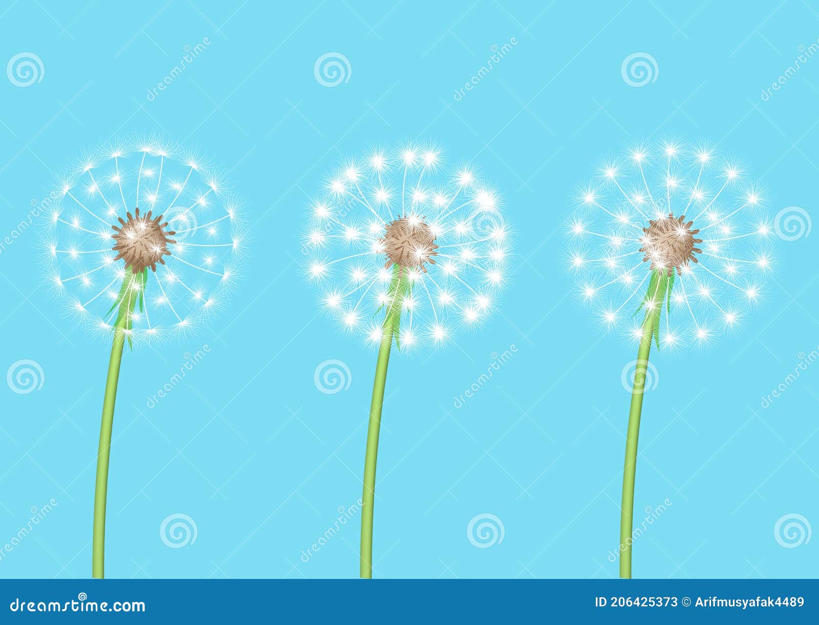 Realistic Dandelion Set Isolated Stock Vector - Illustration of baroque ...