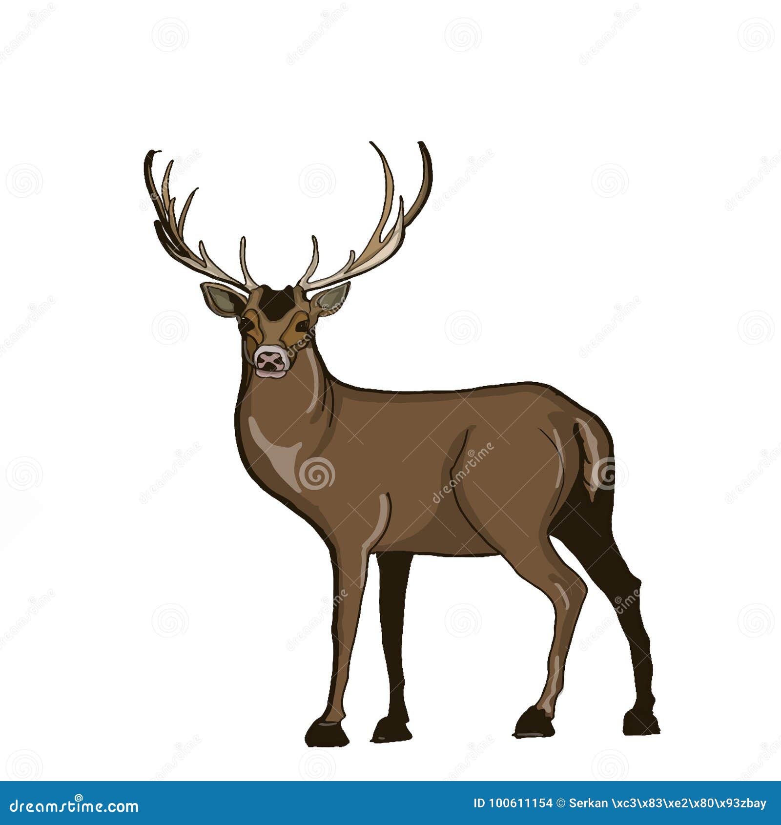 Realistic deer stock vector. Illustration of beauty - 100611154