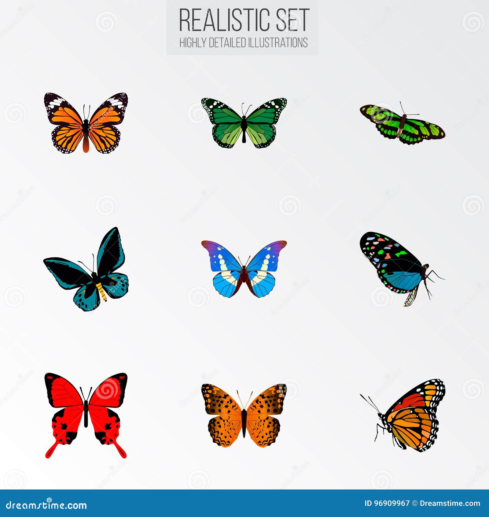 Realistic Demophoon, Monarch, Green Peacock and Other Vector Elements ...